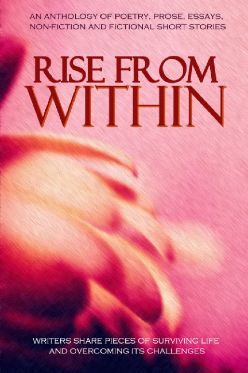Rise From Within (True North Anthologies) by Jay Long | Goodreads