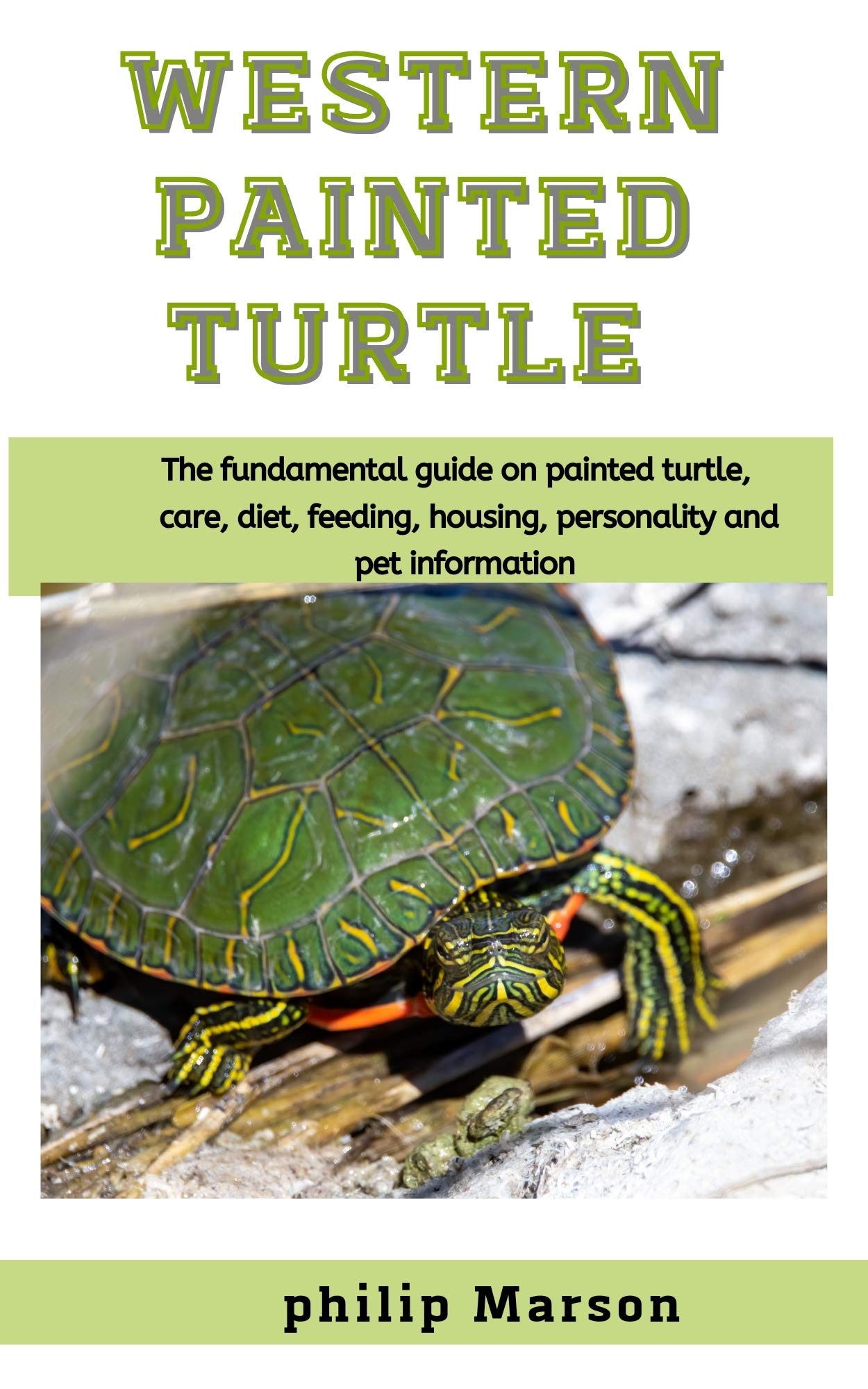 Western Painted Turtle: The fundamental guide on painted turtle, care ...