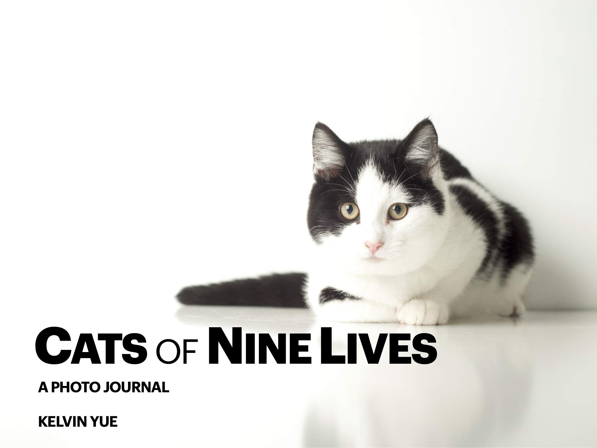 Cats of Nine Lives: A Photo Journal by Kelvin Yue | Goodreads