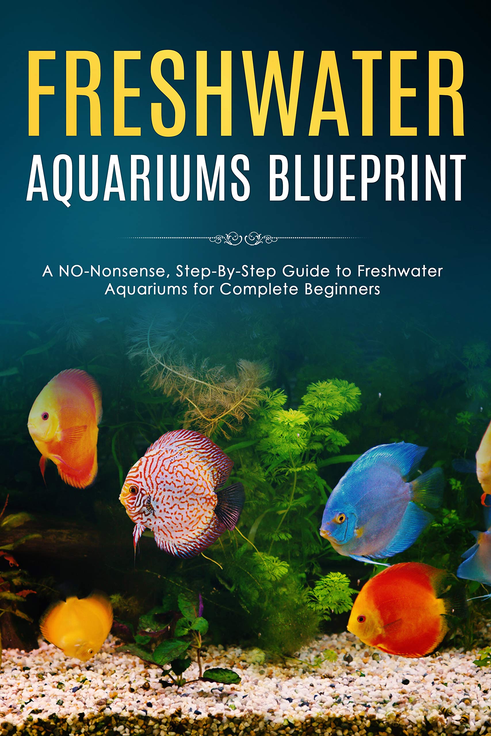 Freshwater Aquariums Blueprint: A NO-Nonsense, Step-By-Step Guide to ...