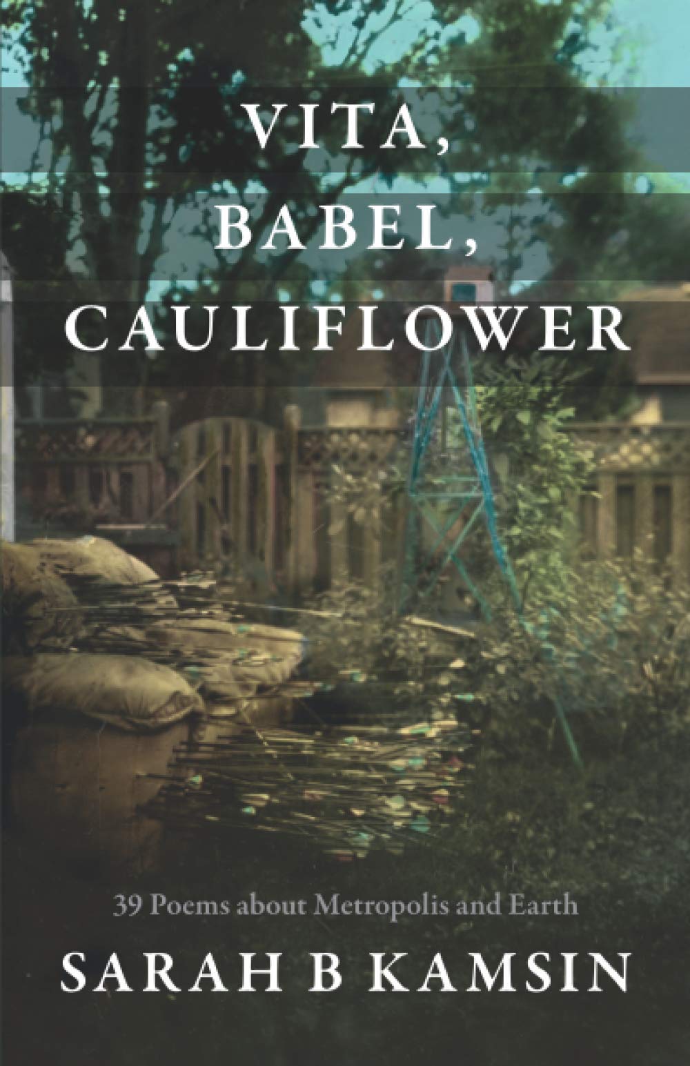Vita, Babel, Cauliflower by Sarah B. Kamsin | Goodreads