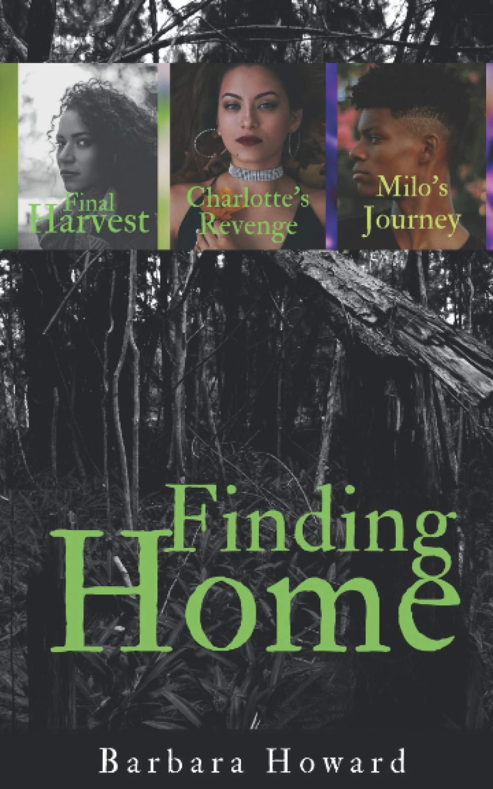 Finding Home Mystery Series (Finding Home #1-3) by Barbara Howard | Goodreads