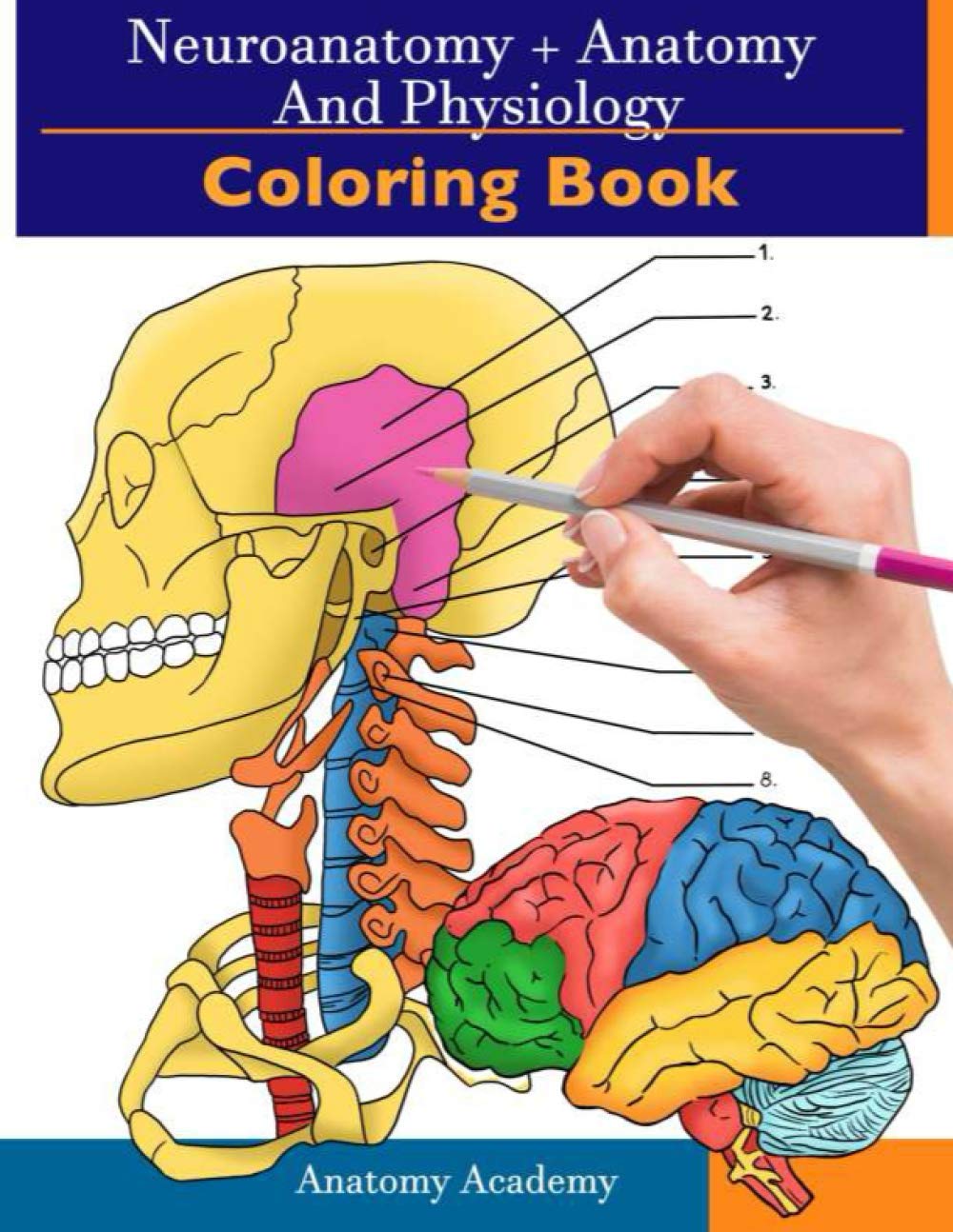 Neuroanatomy + Anatomy and Physiology Coloring Book: 2-in-1 Collection ...