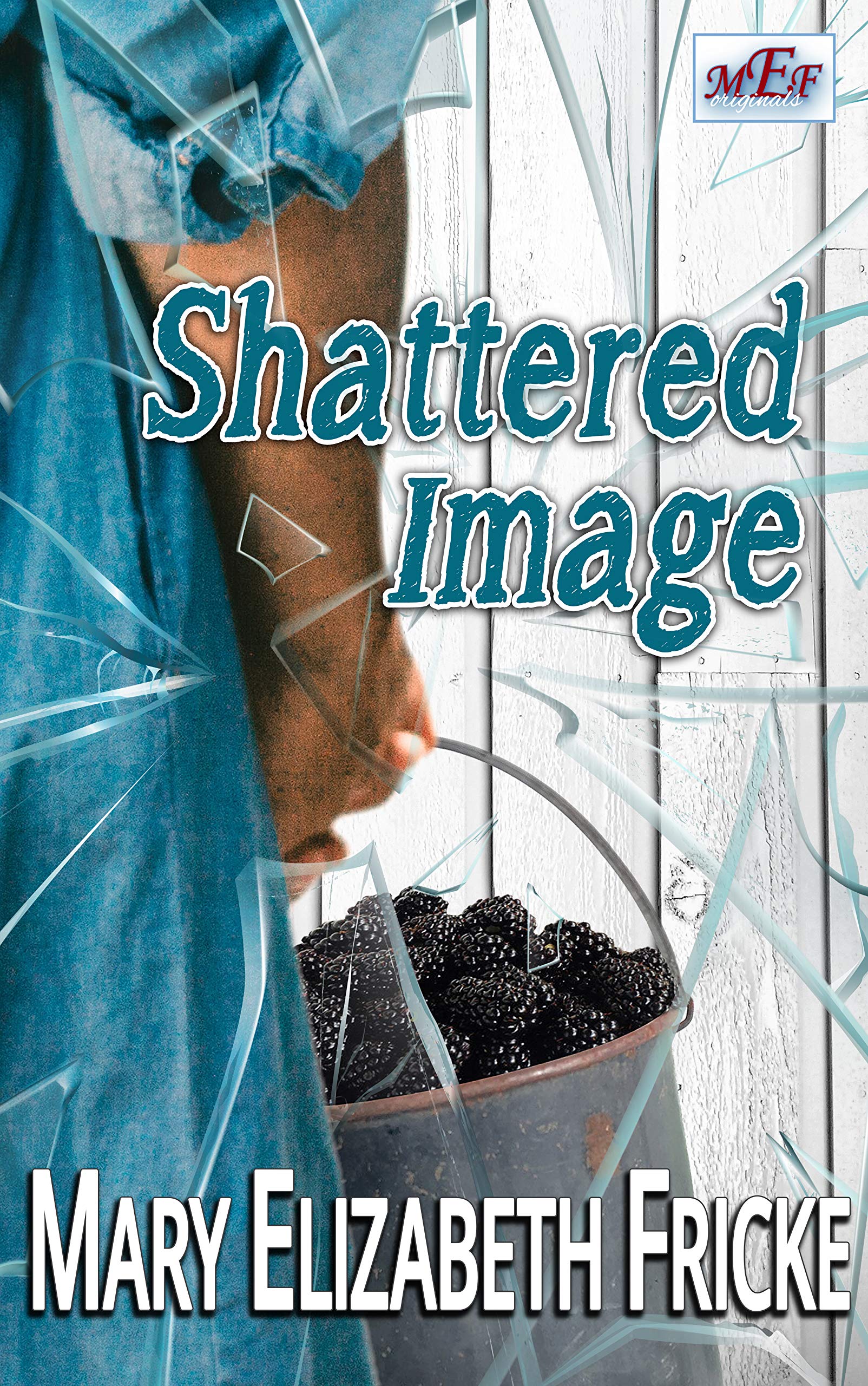 Shattered Image by Mary Elizabeth Fricke | Goodreads