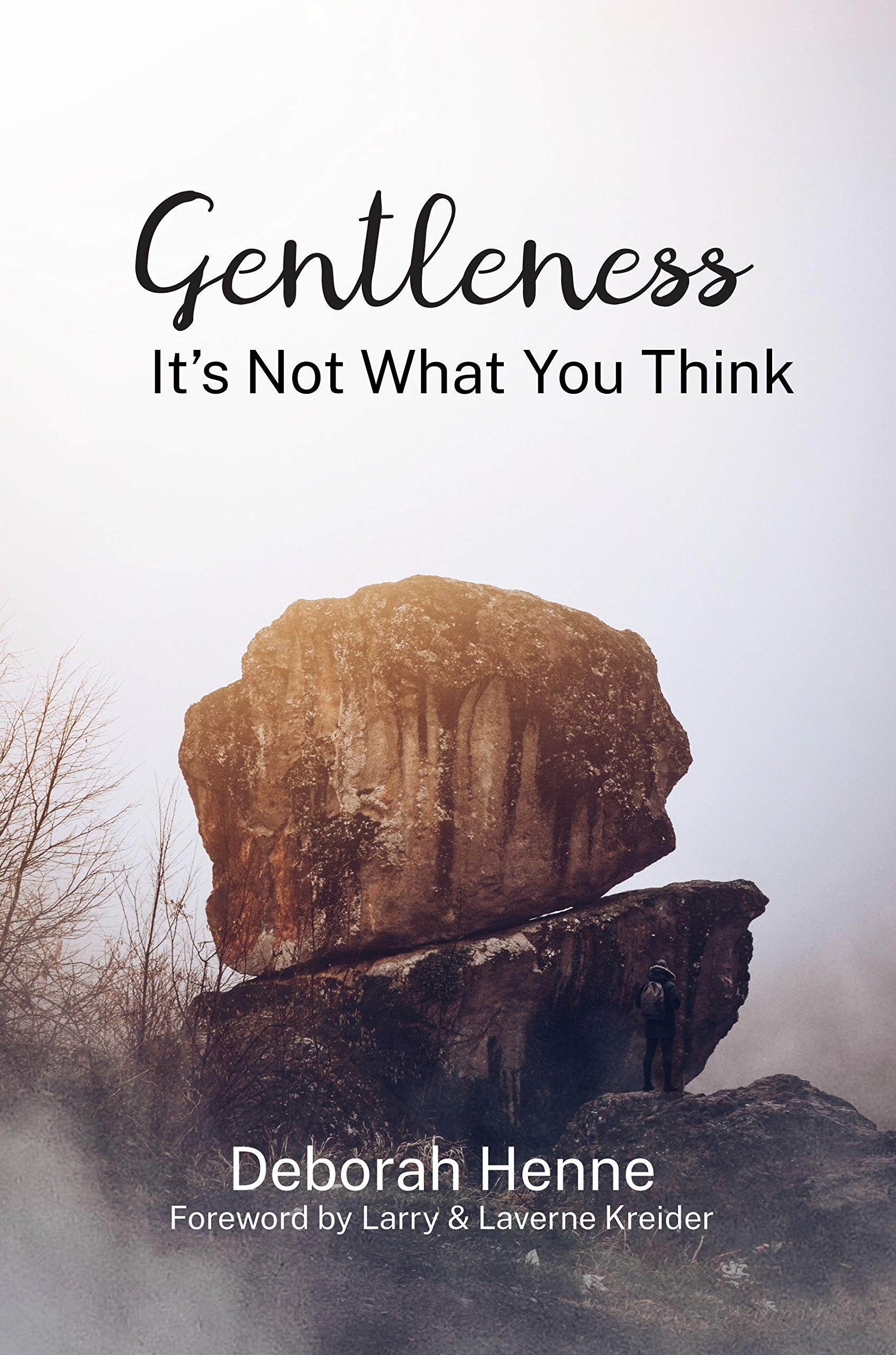 GENTLENESS: It’s Not What You Think by Deborah Henne | Goodreads