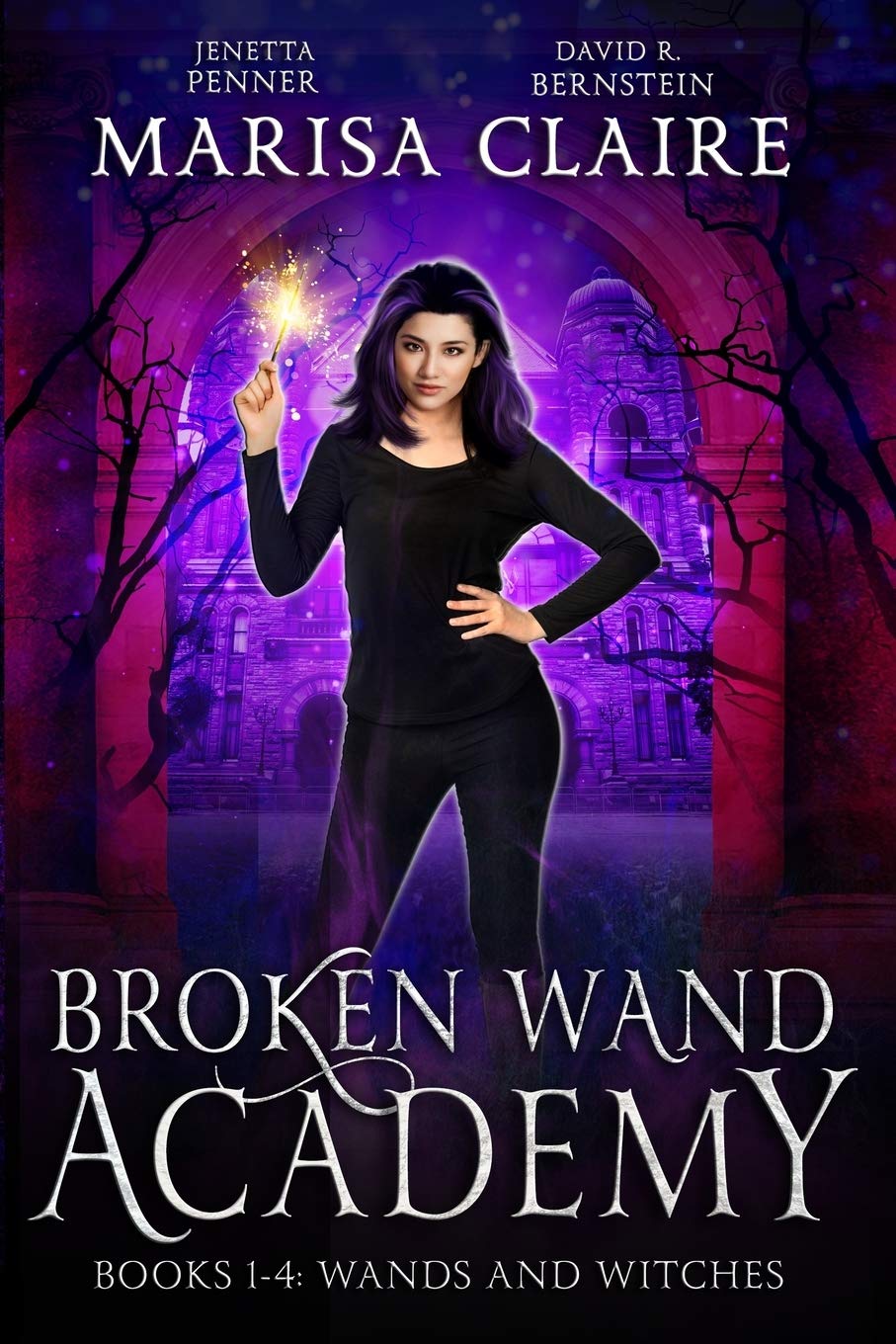 Broken Wand Academy: Books 1-4: Wands and Witches Box Set (Veiled World ...