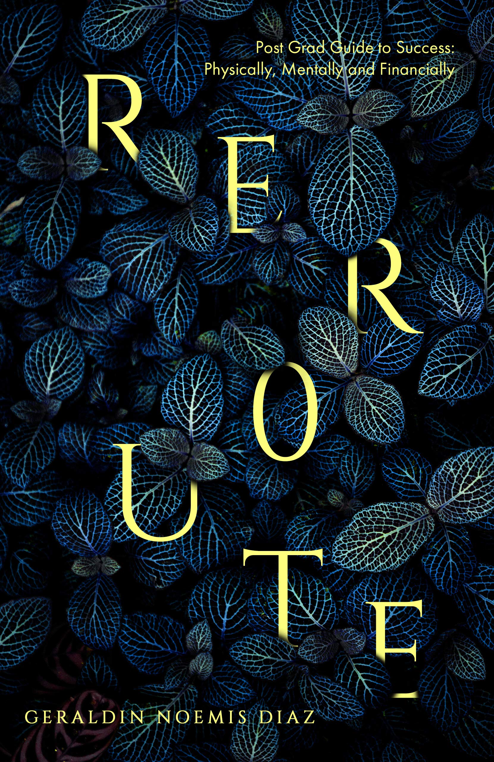 Reroute: Post Grad Guide to Success - Physically, Mentally and ...