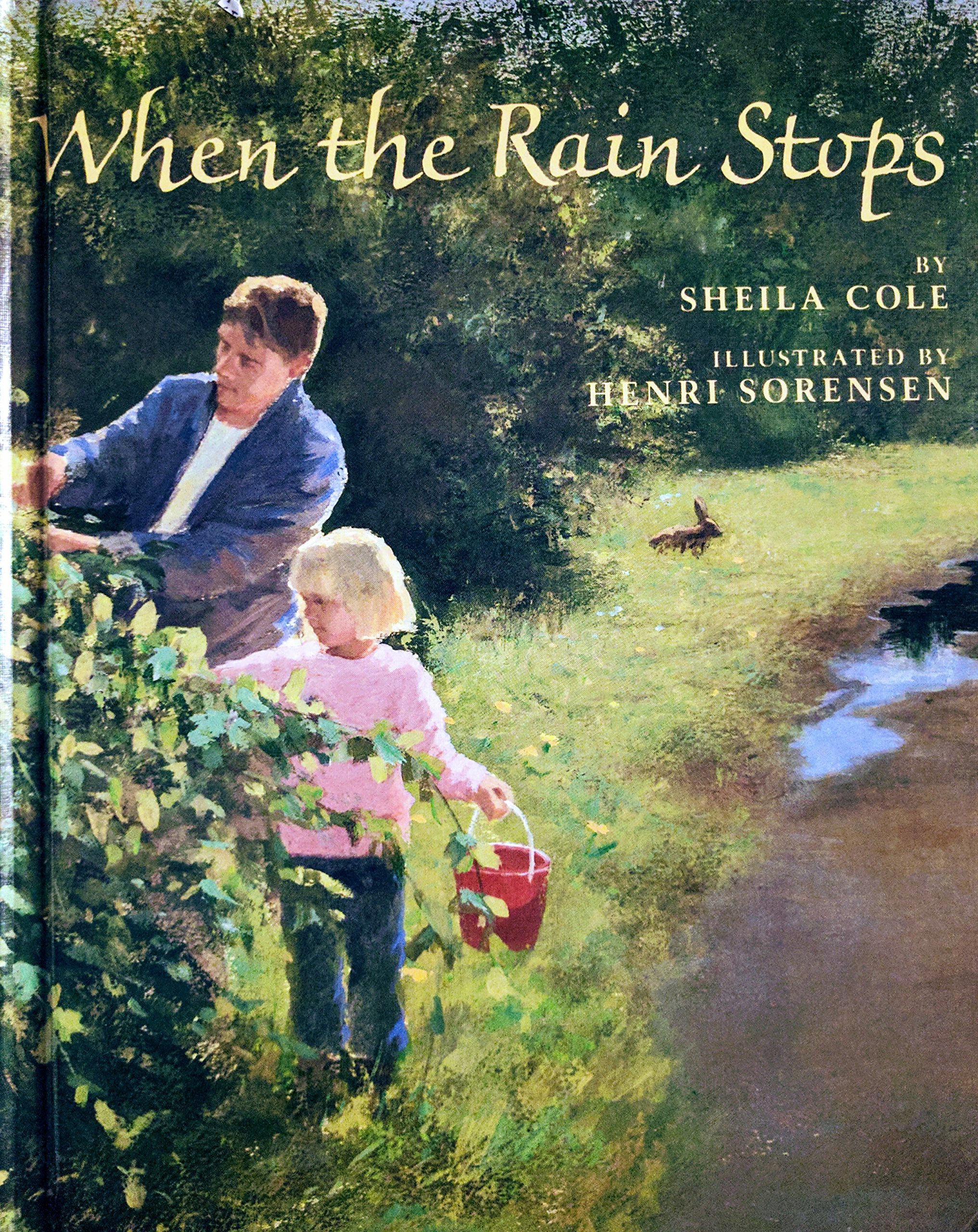 When the Rain Stops by Sheila Cole | Goodreads