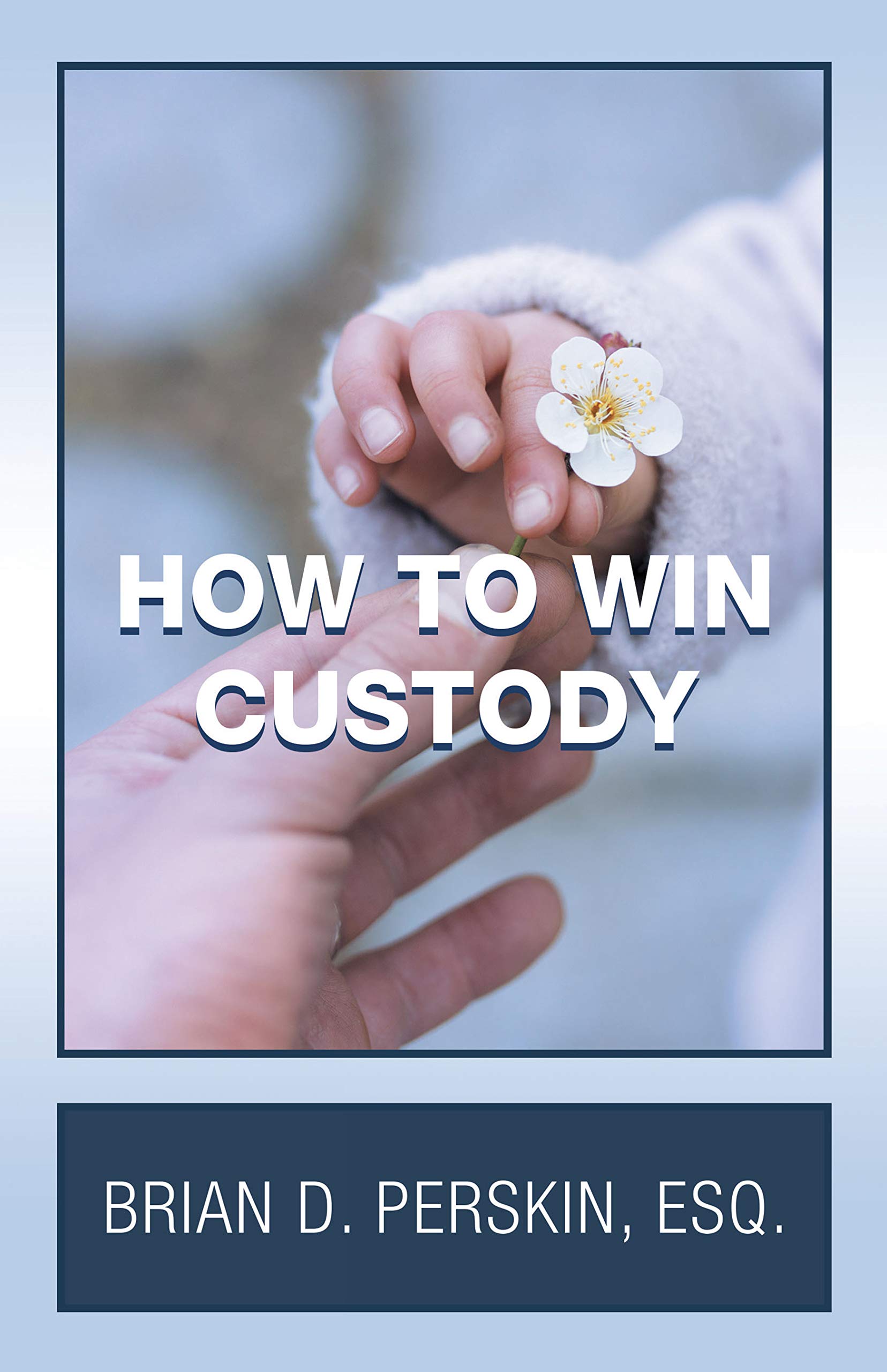 How to Win Custody by Brian D. Perskin Esq | Goodreads