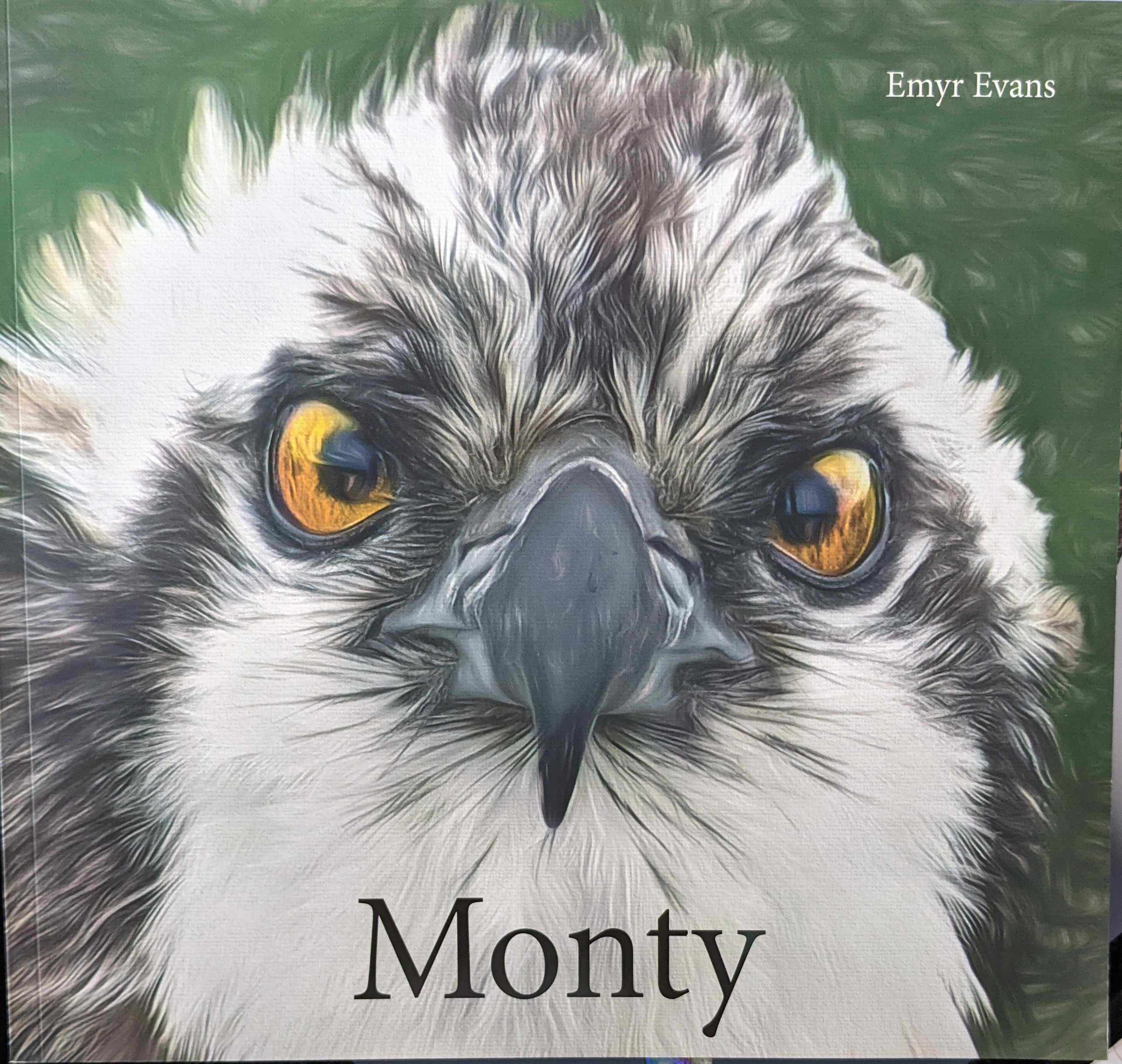 Monty by Emyr Evans | Goodreads