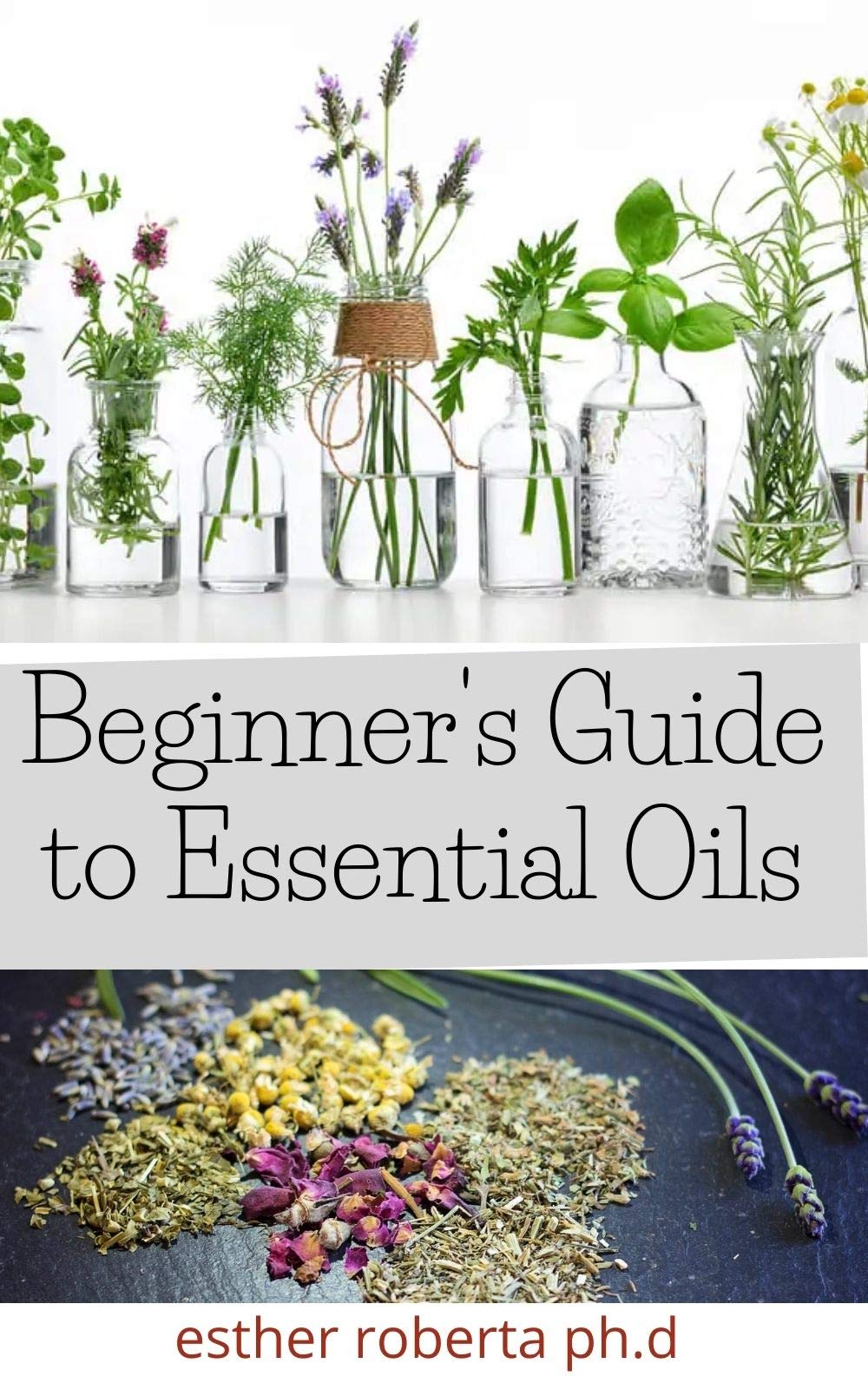 Beginner S Guide To Essential Oils Prefect Guide Of Essiential Oil