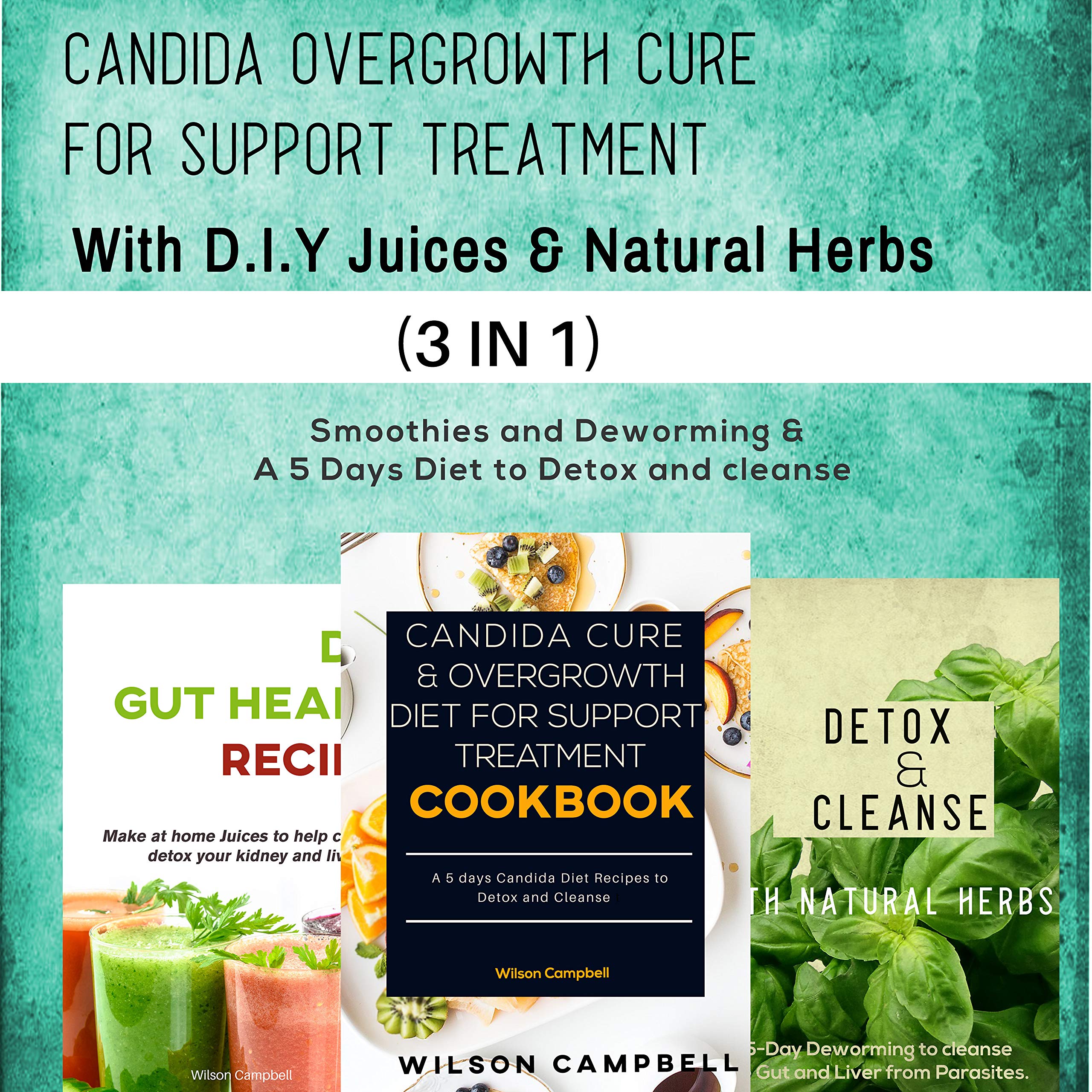 CANDIDA CURE & OVERGROWTH DIET FOR SUPPORT TREATMENT WITH D.I.Y JUICE ...