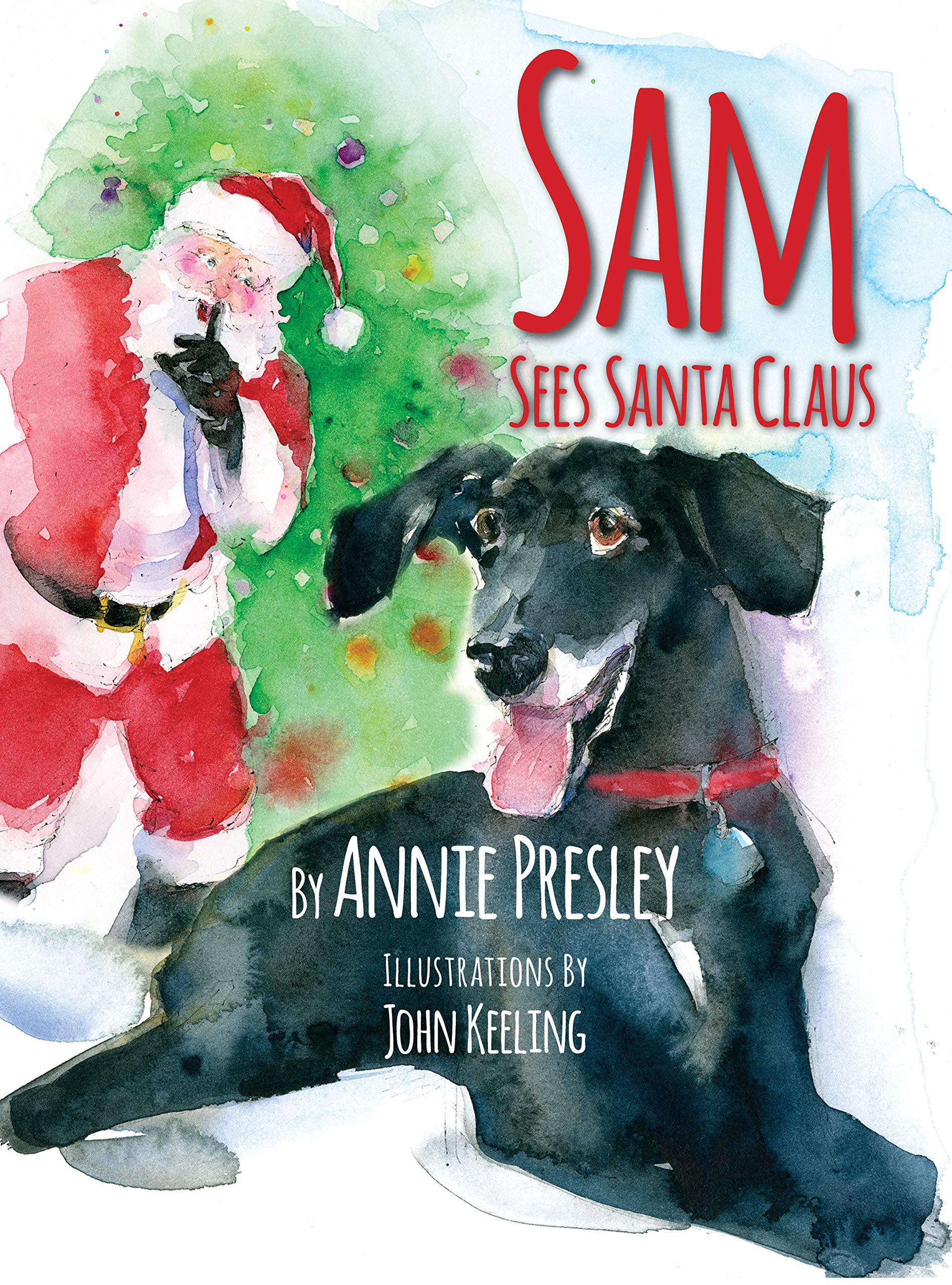 Sam Sees Santa Claus (The Sam Series Book 2) by Annie Presley | Goodreads