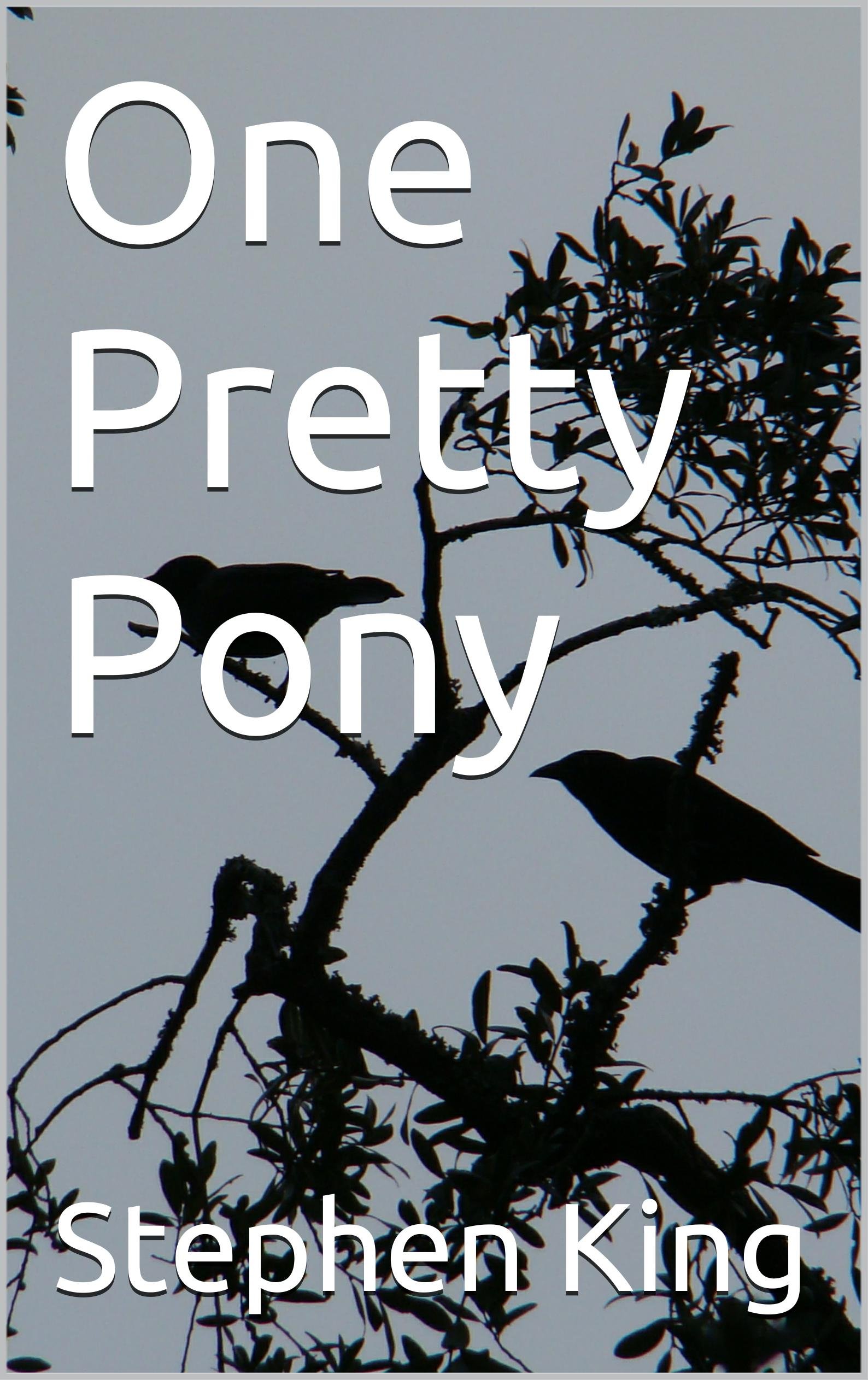 One Pretty Pony by Stephen King | Goodreads