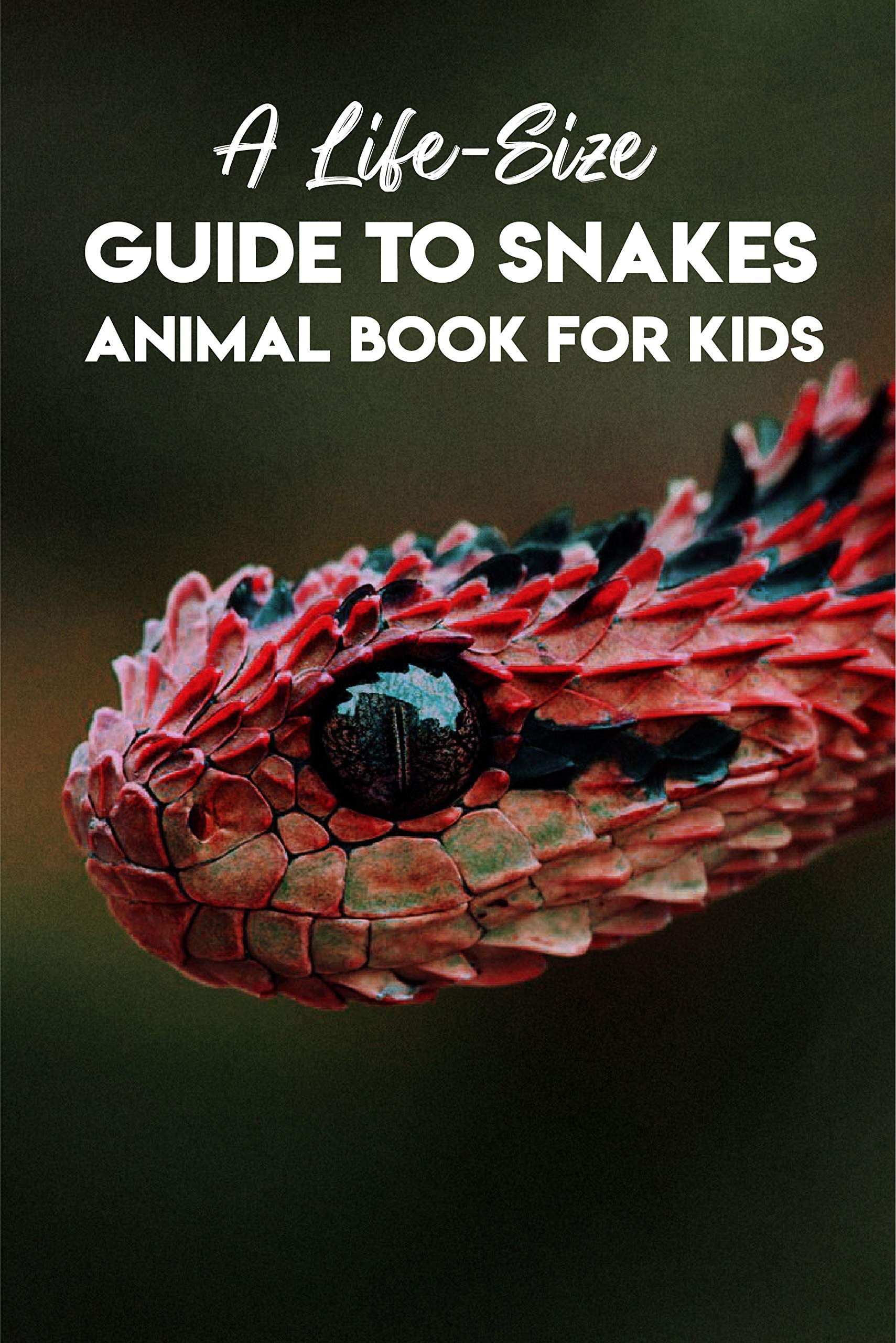 A Life-size Guide To Snakes Animal Book For Kids: Amazing Facts About ...