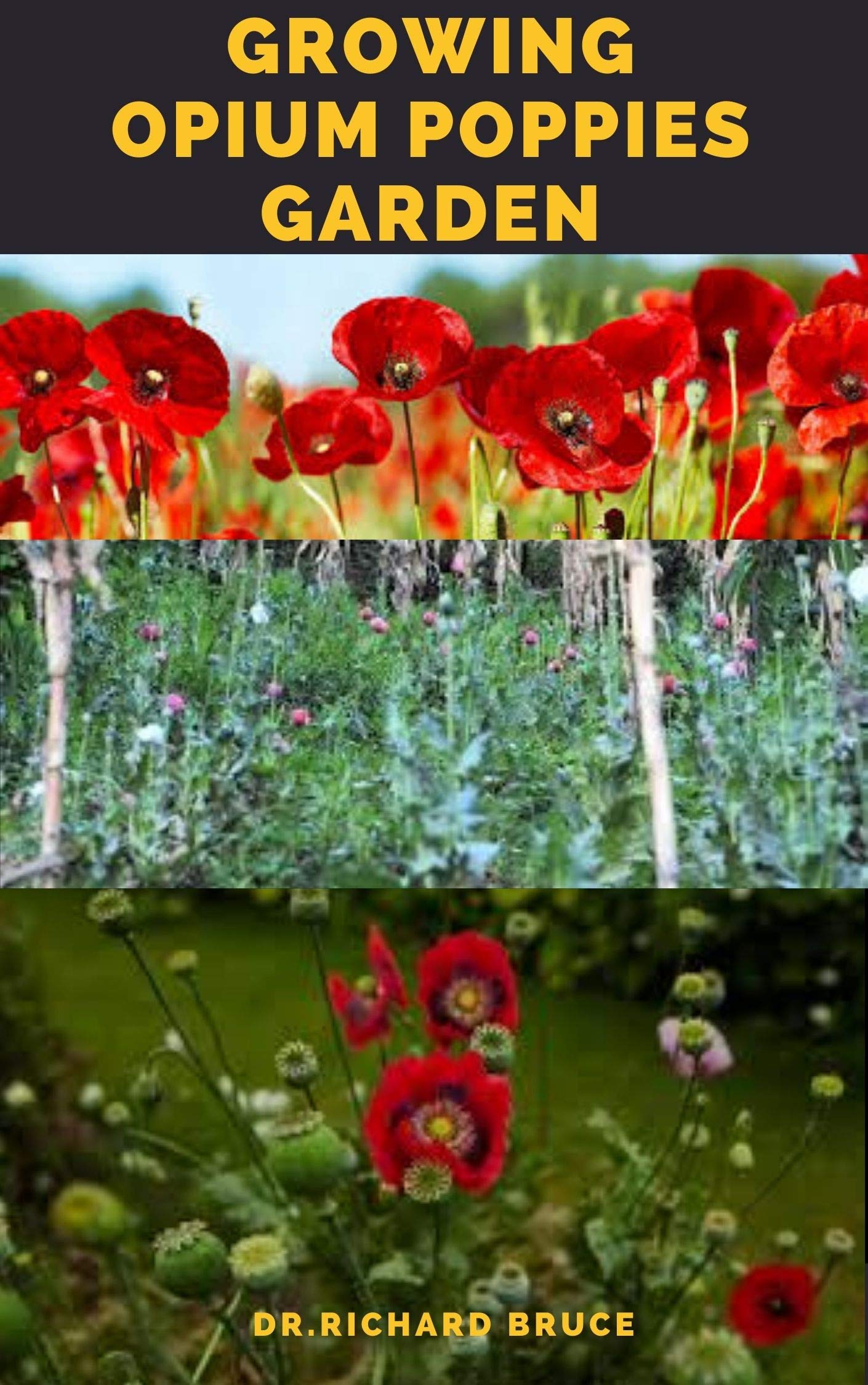 GROWING OPIUM POPPIES GARDEN: Step By Step Guide To Growing Opium ...