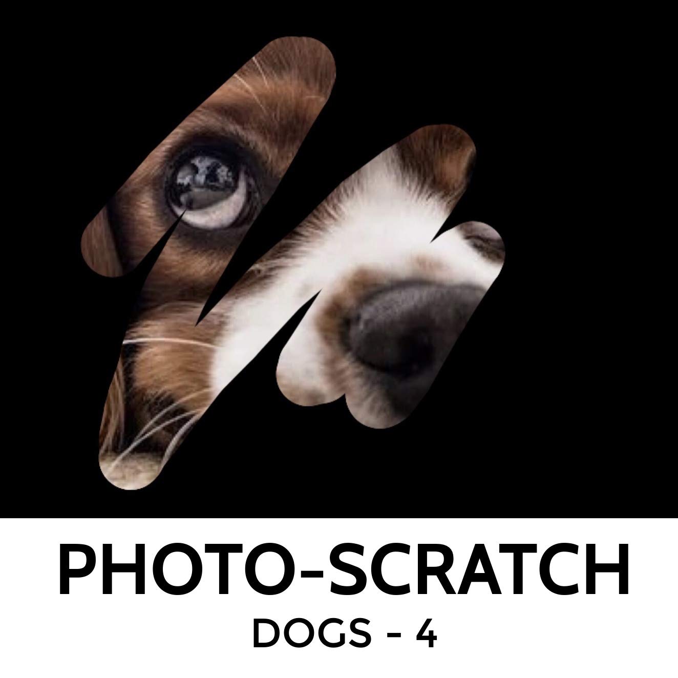 PHOTO-SCRATCH: DOGS - 4 by Stephan Herrmann | Goodreads