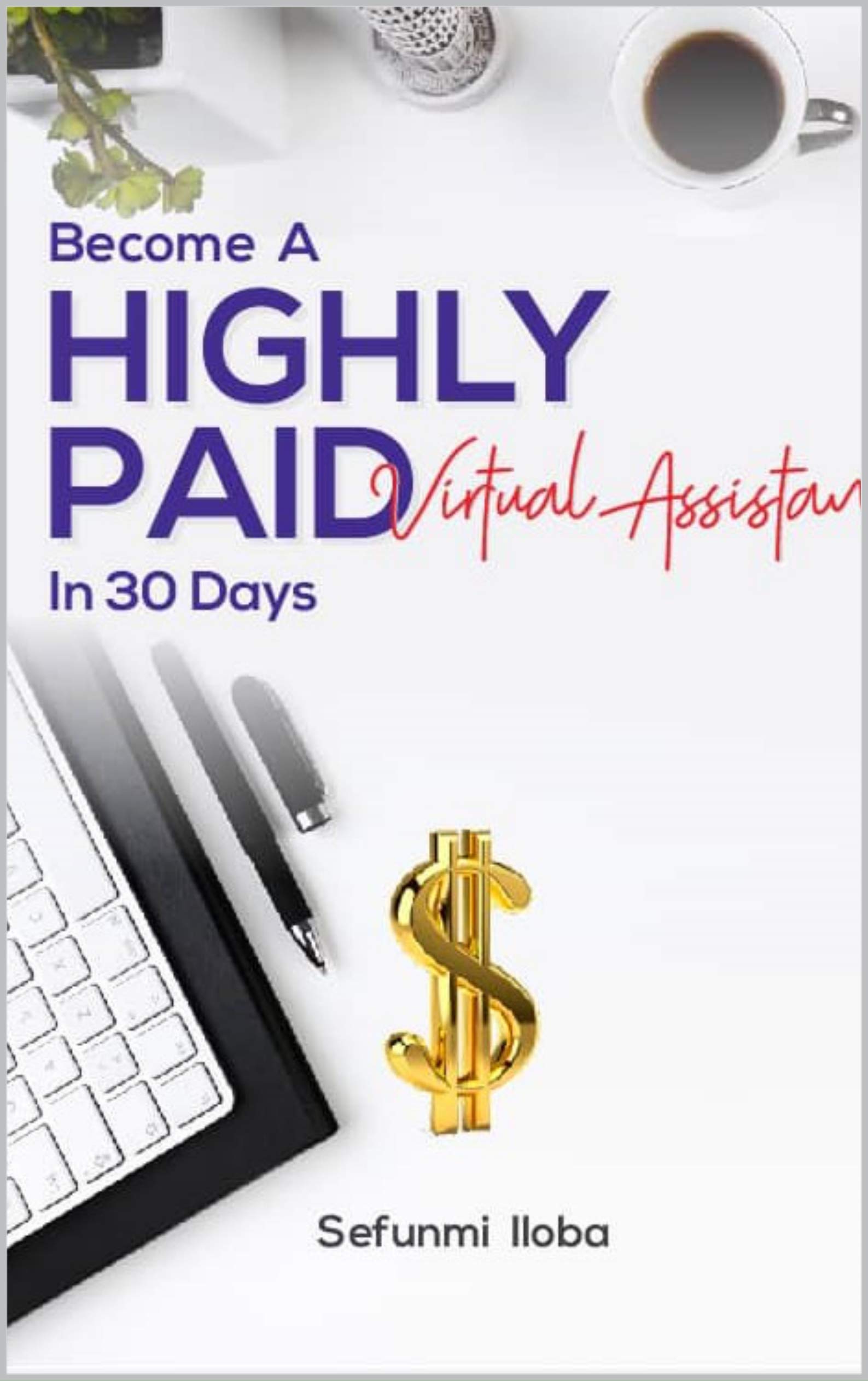 Become A High Profile Virtual Assistant In 30 Days or Less by Sefunmi Iloba | Goodreads