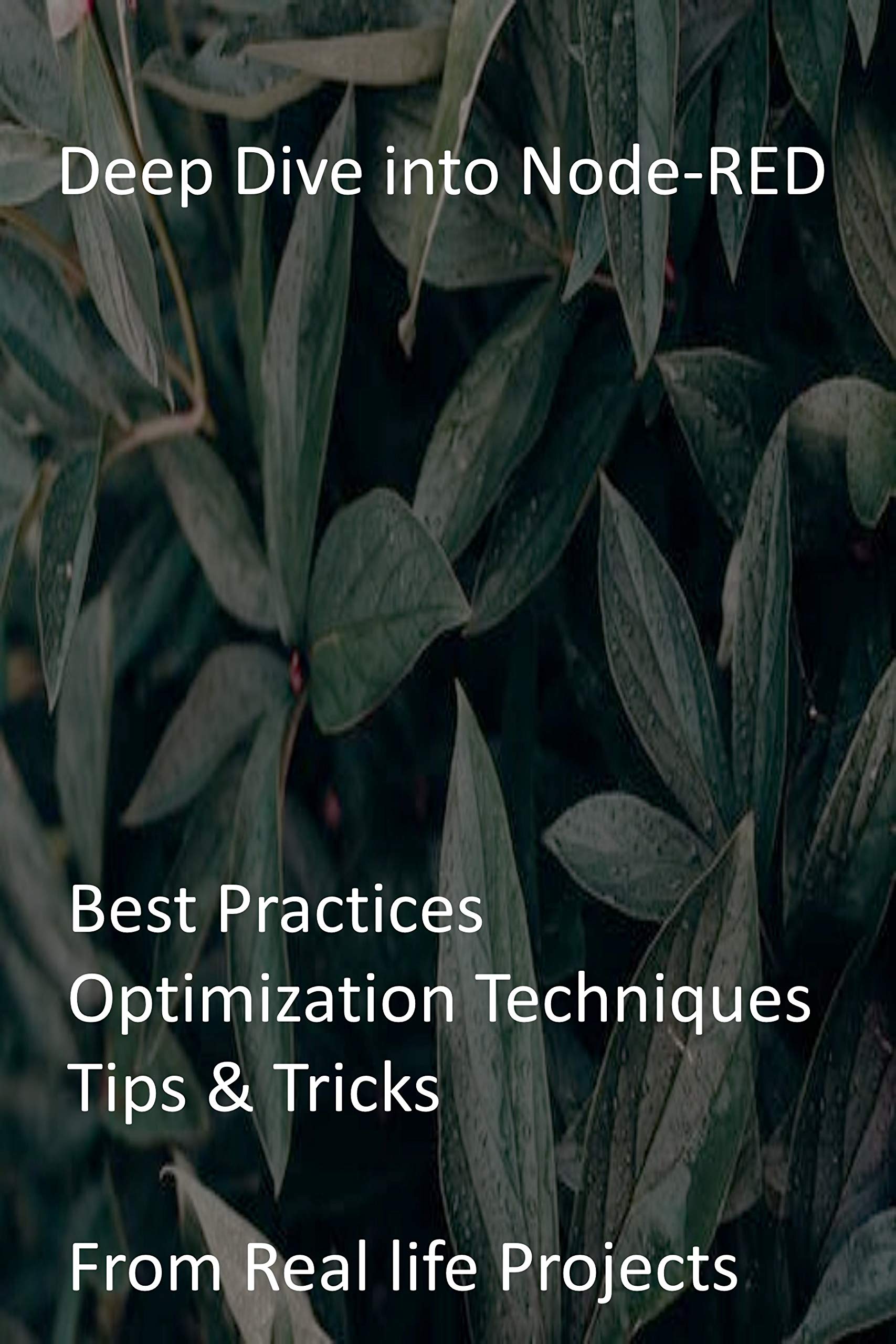 Deep Dive into Node-RED: Best Practices, Optimization Techniques, Tips ...
