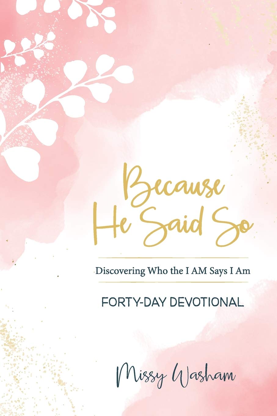 Because He Said So: Discovering Who the I AM Says I Am by Missy Washam ...