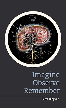 Imagine Observe Remember by Peter Blegvad | Goodreads