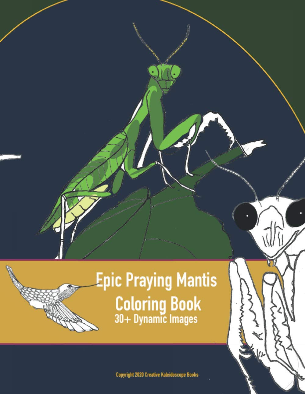 Epic Praying Mantis Coloring Book: 30+ Dynamic Images Single Sided ...