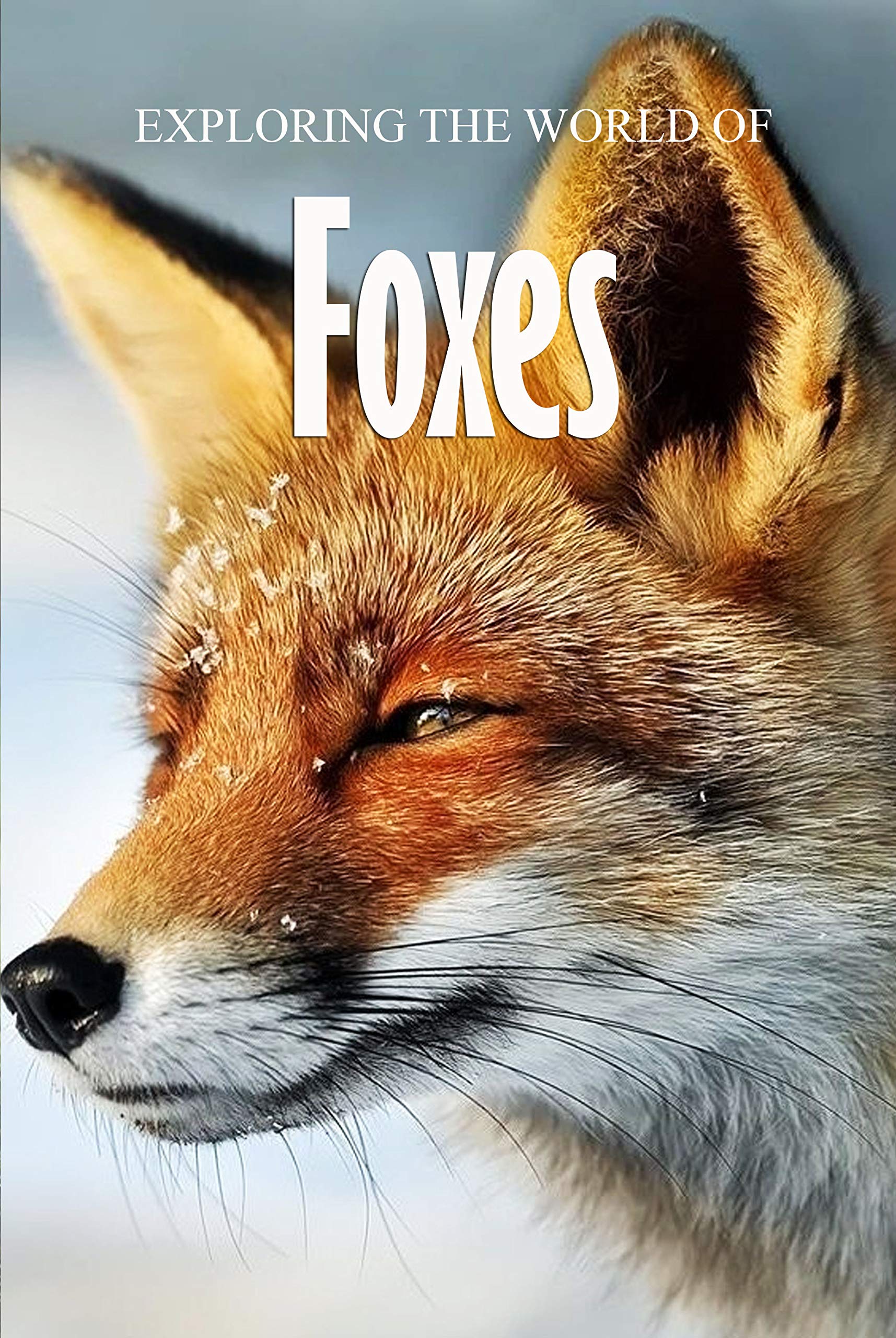 Exploring the World of Foxes: Educational Animals Book For Kids by ...