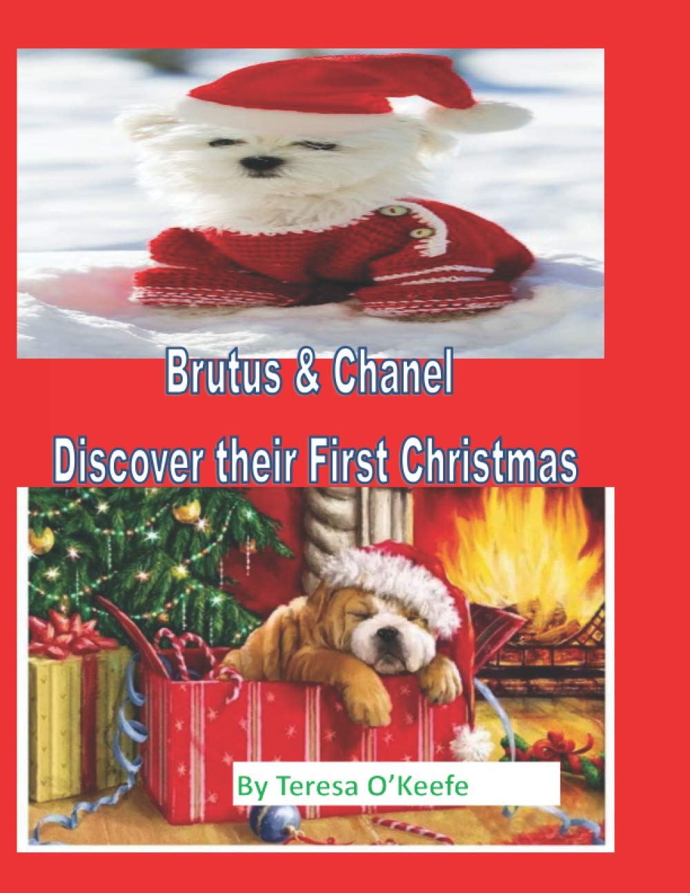 Brutus & Chanel Discover Their First Christmas by Teresa O'Keefe ...