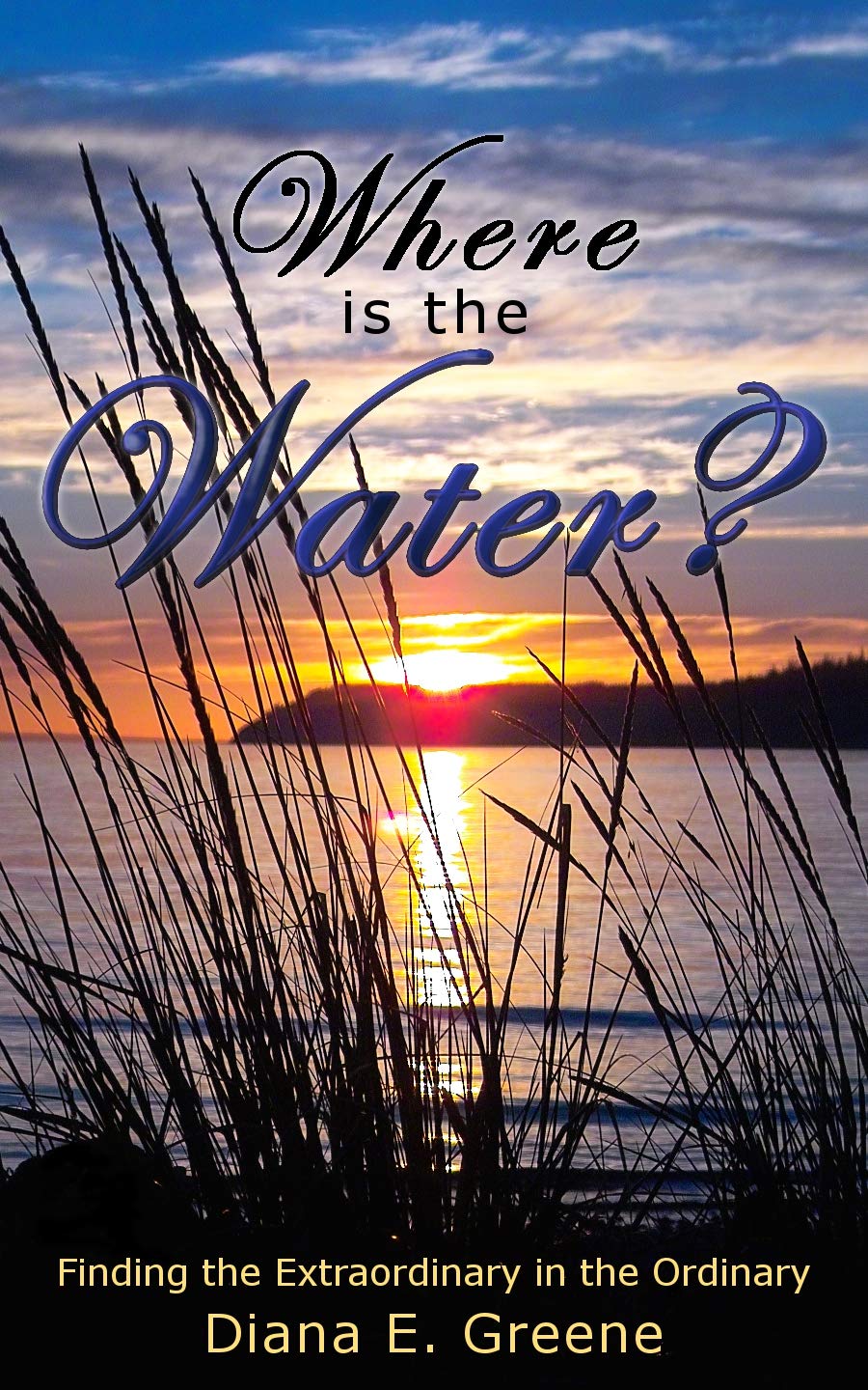 Where is the Water?: Finding the Extraordinary in the Ordinary by Diana ...