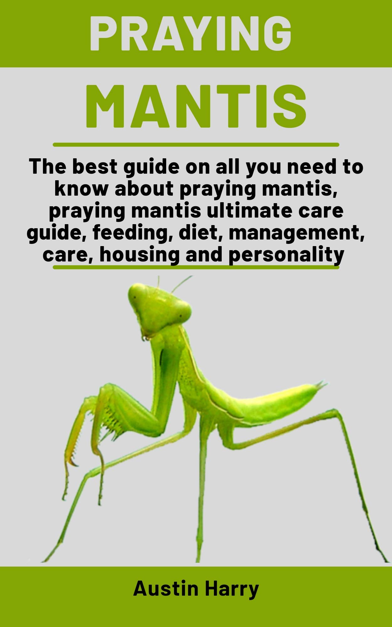 Praying Mantis: The best guide on all you need to know about praying ...