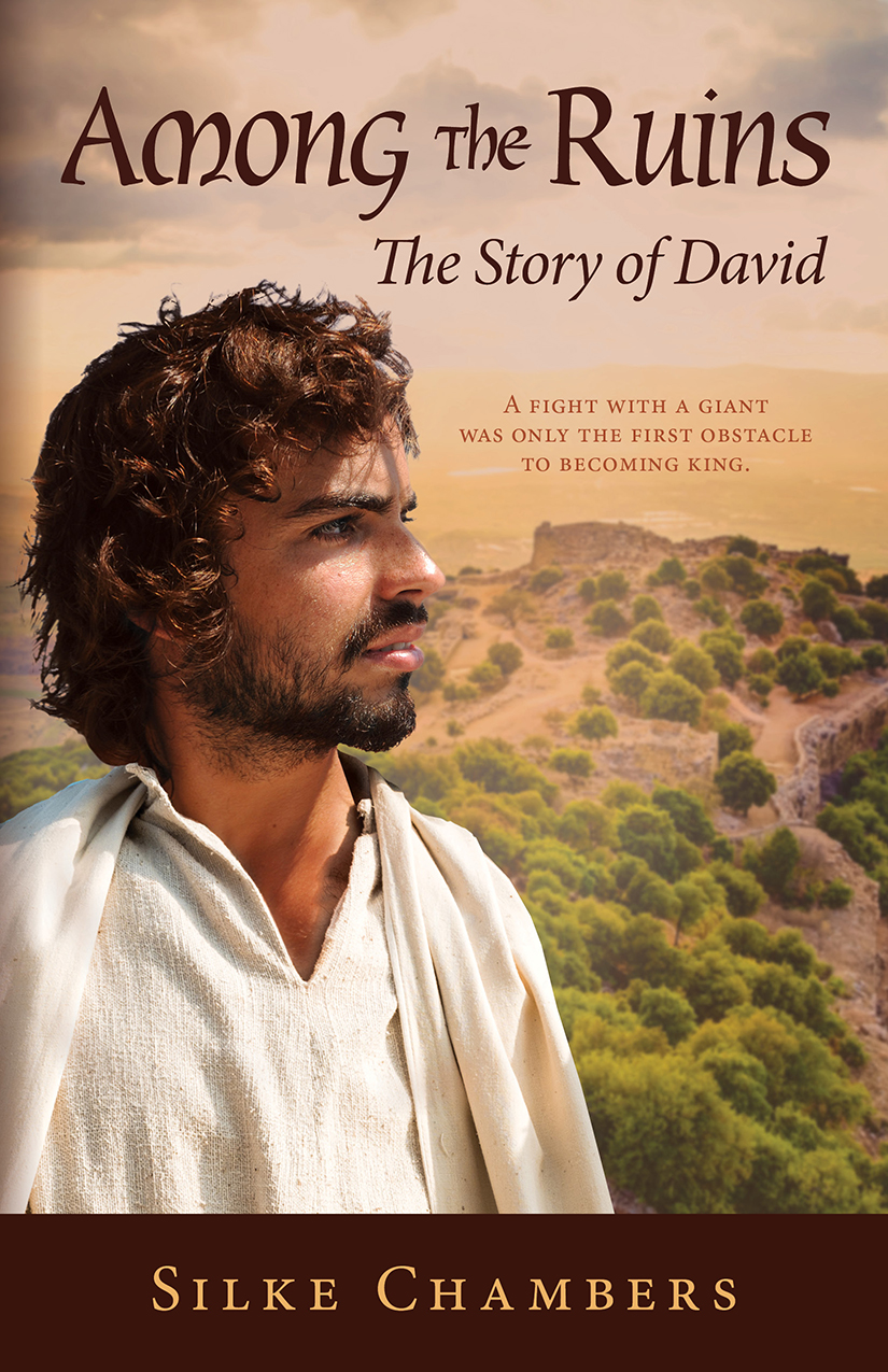 Among the Ruins, the Story of David by Silke Chambers | Goodreads