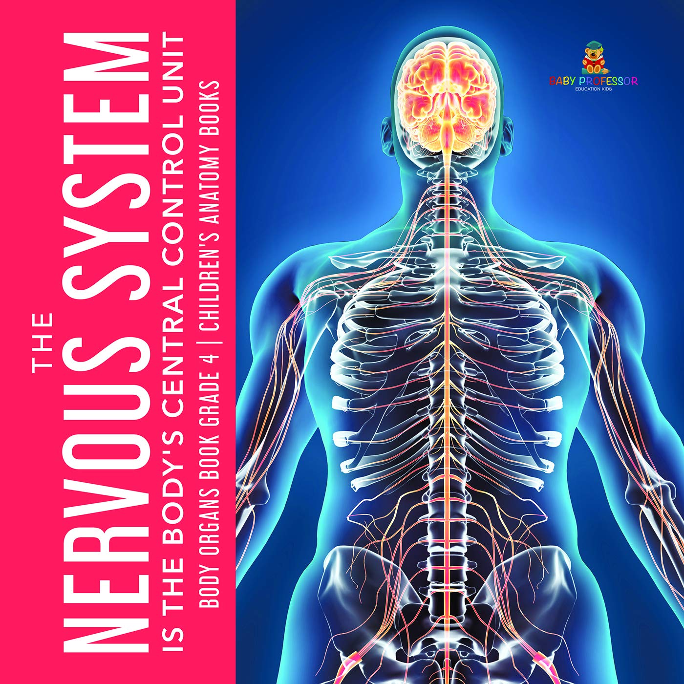 The Nervous System Is the Body's Central Control Unit | Body Organs ...