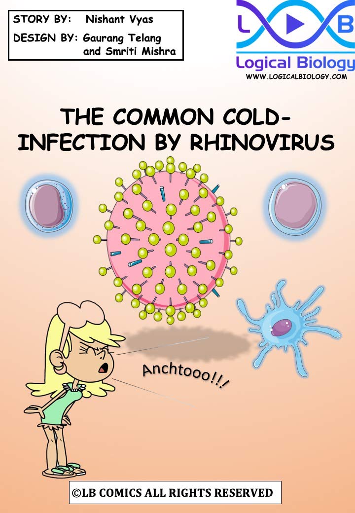 Rhinovirus Common Cold