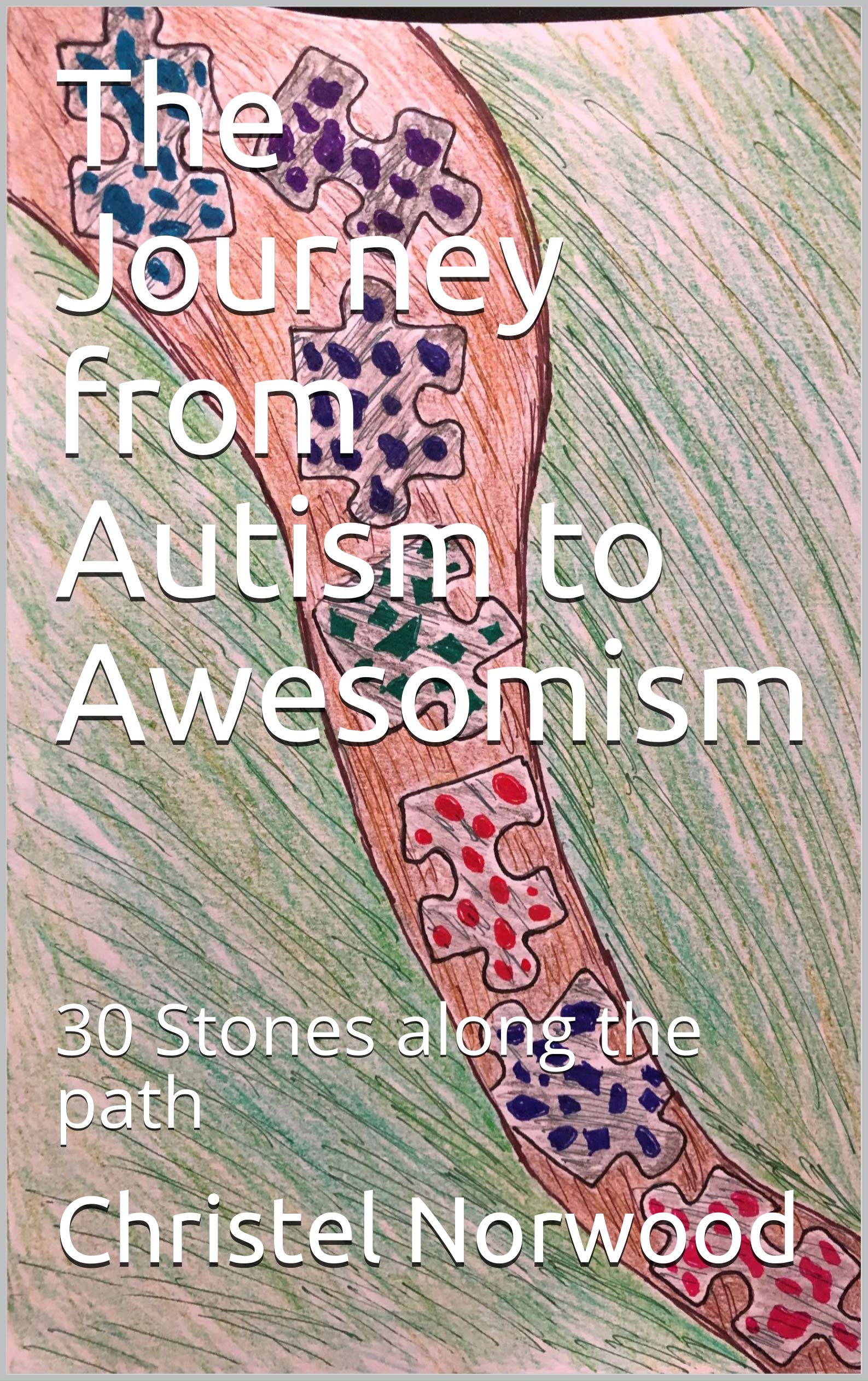 The Journey from Autism to Awesomism: 30 Stones along the path by ...