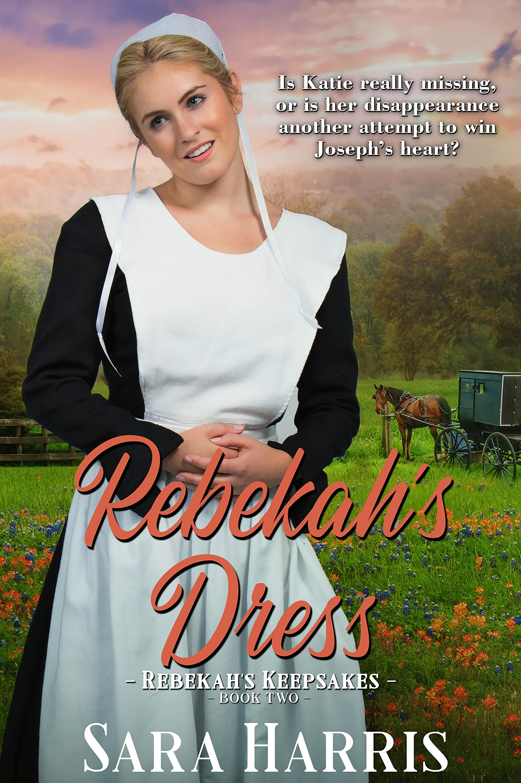 Rebekah's Dress (Rebekah's Keepsakes Book 2) by Sara Harris | Goodreads