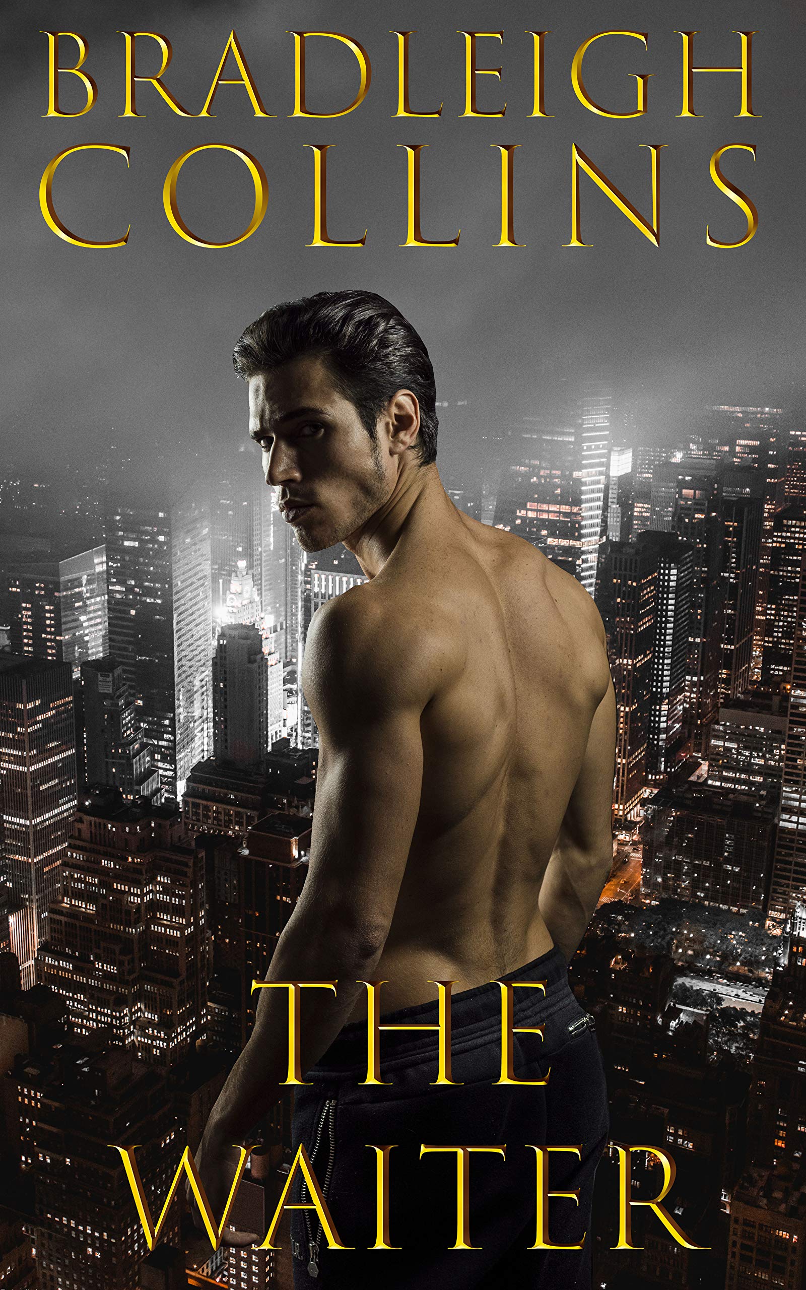 The Waiter (The Love, New York Series Book 1) by Bradleigh Collins | Goodreads
