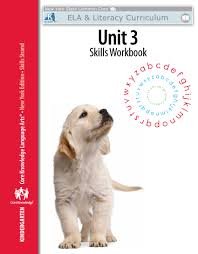 Skills Strand Unit 3 Workbook by Amplify Learning | Goodreads