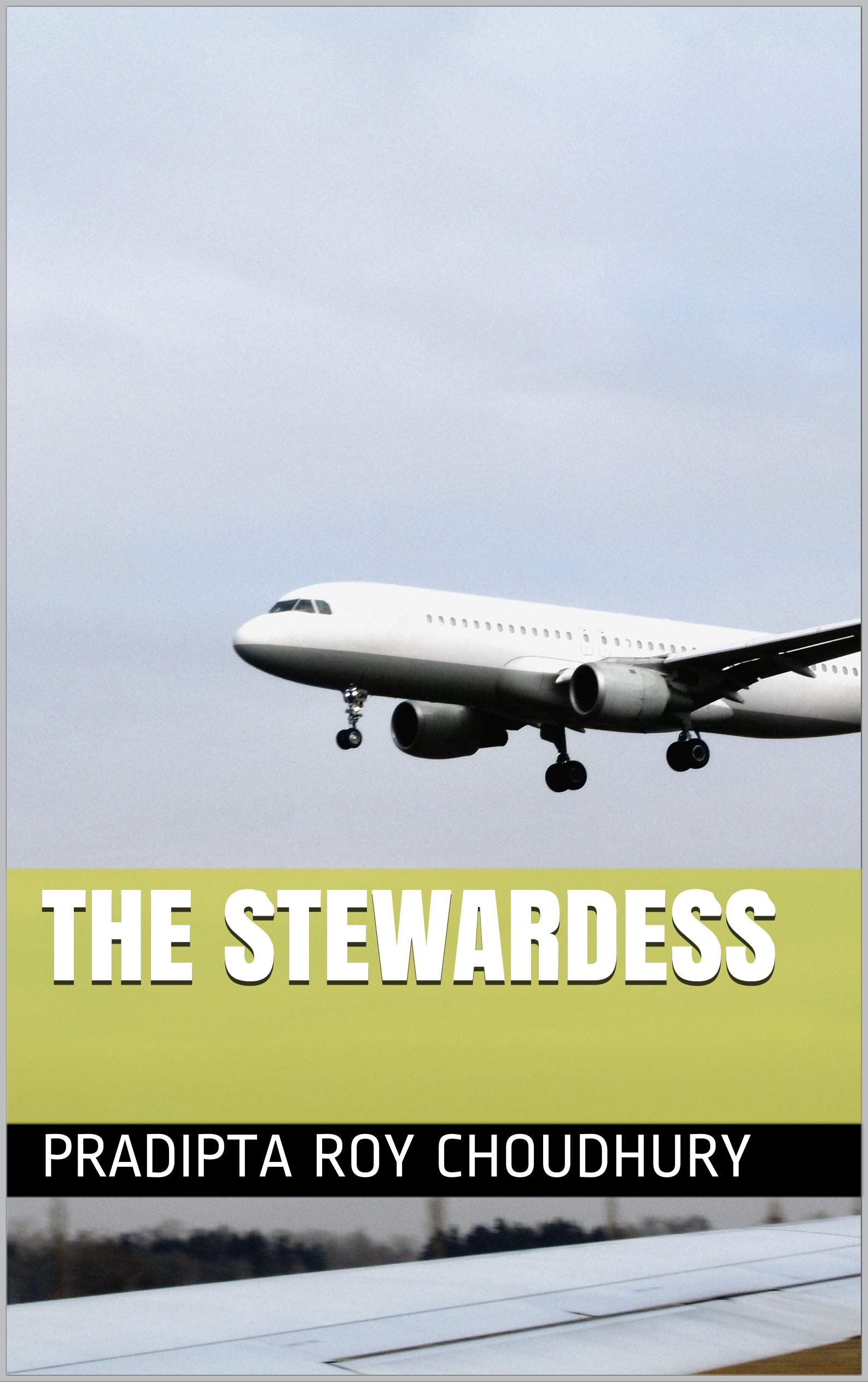 The Stewardess by Pradipta Roy Choudhury | Goodreads