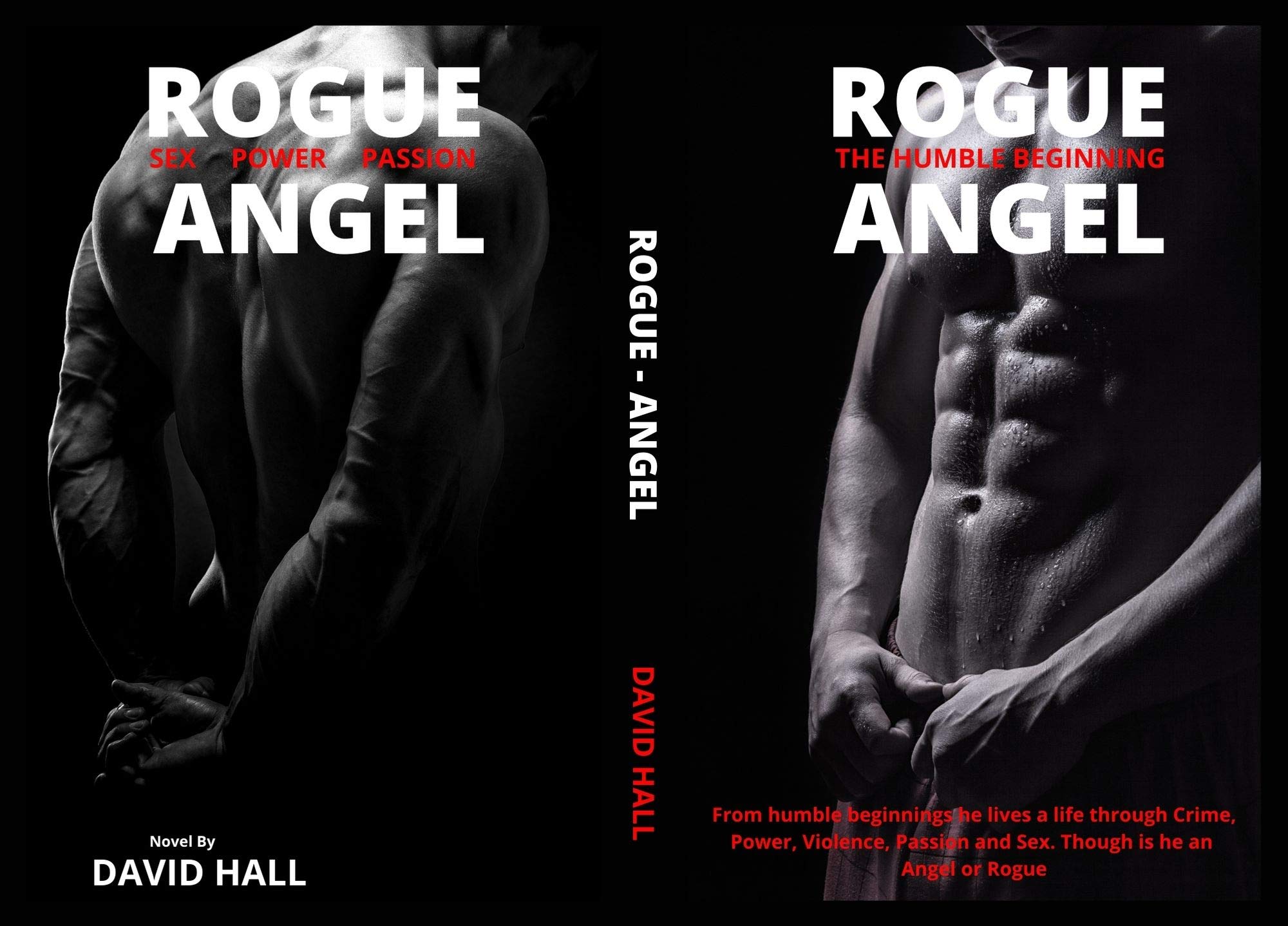 ROGUE - ANGEL (The Humble Beginning): A griping story line that gets you hooked, both erotic and ...