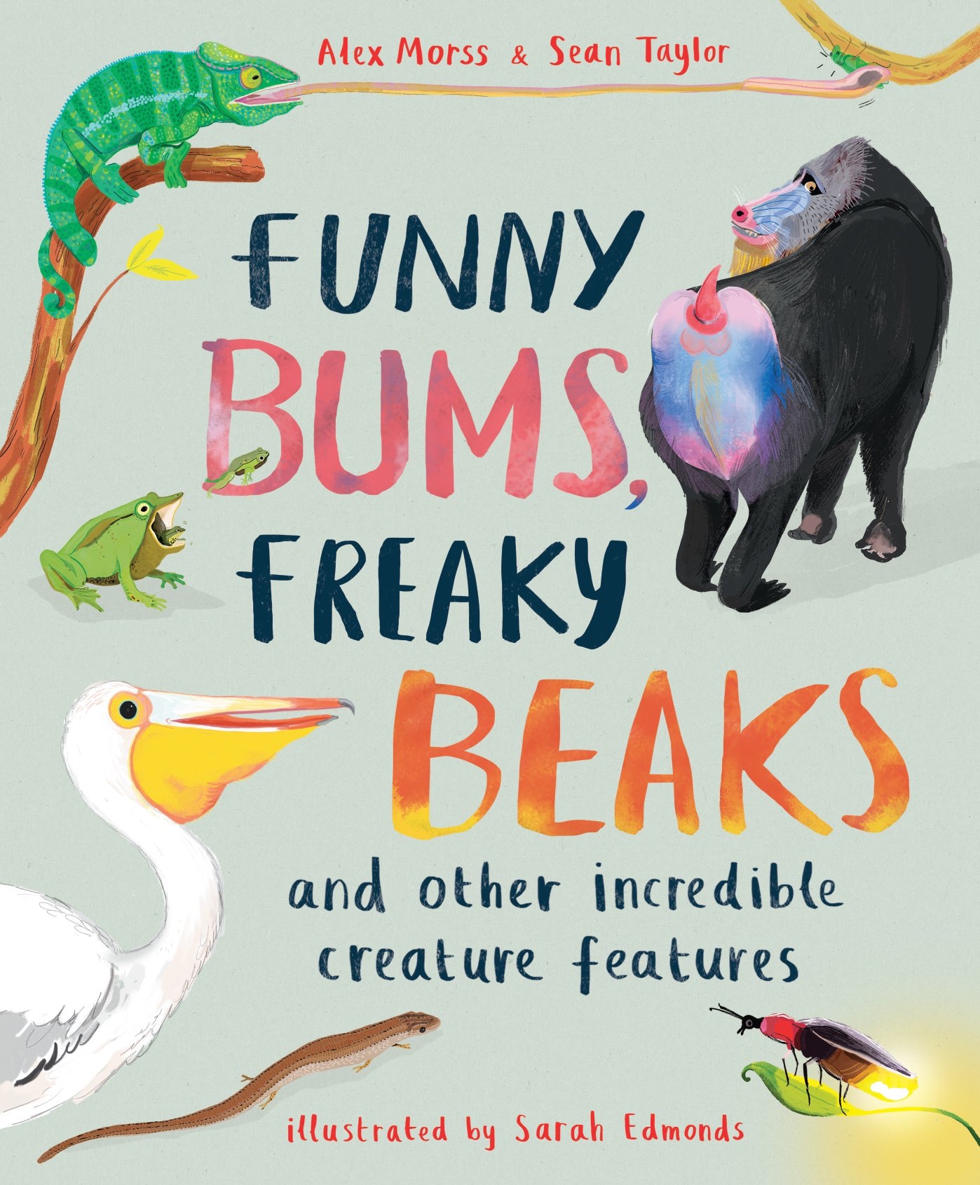 Funny Bums, Freaky Beaks and Other Incredible Creature Features by Alex ...