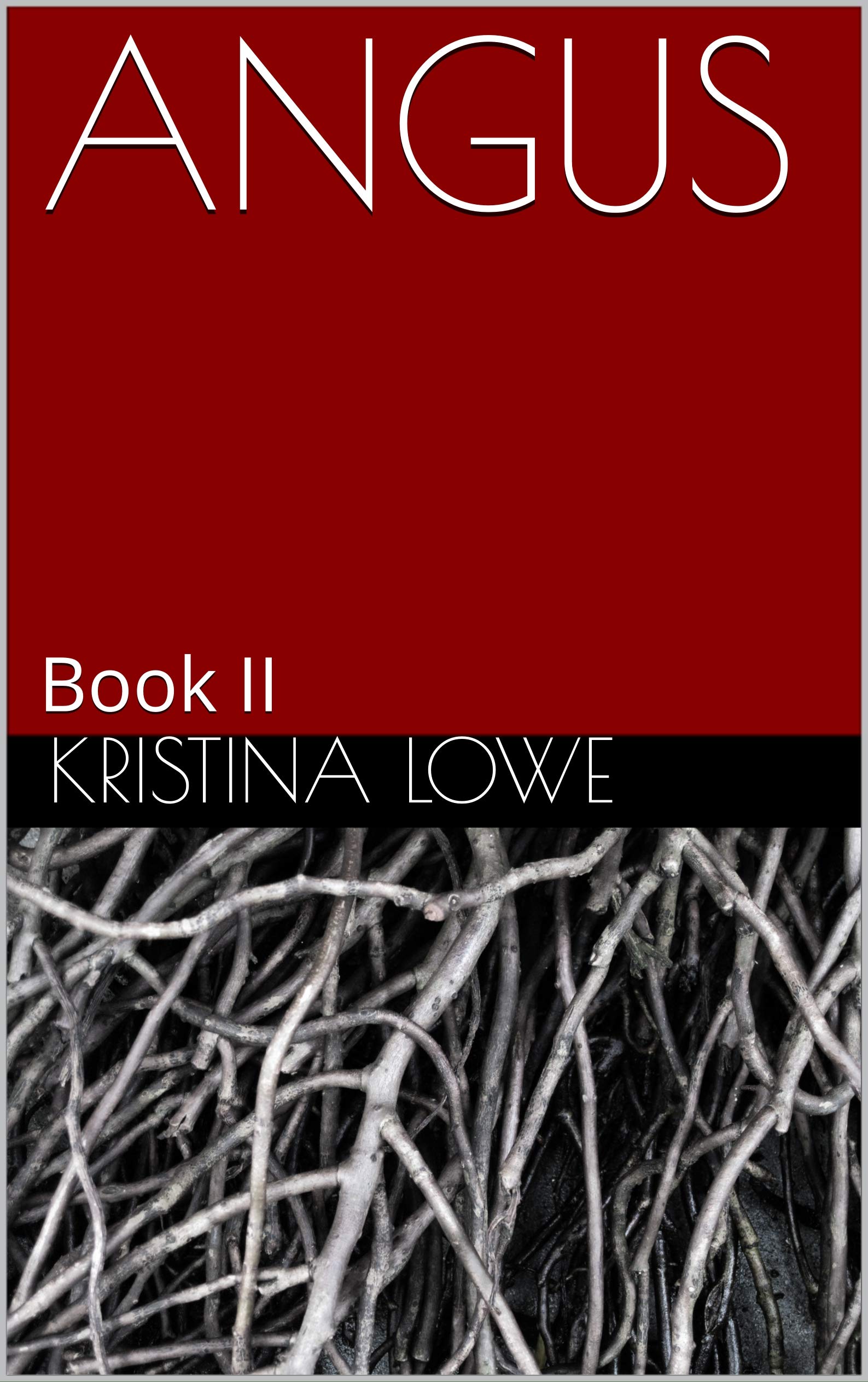 ANGUS: Book II (The Jimmy and Kane Series 2) by Kristina Lowe | Goodreads