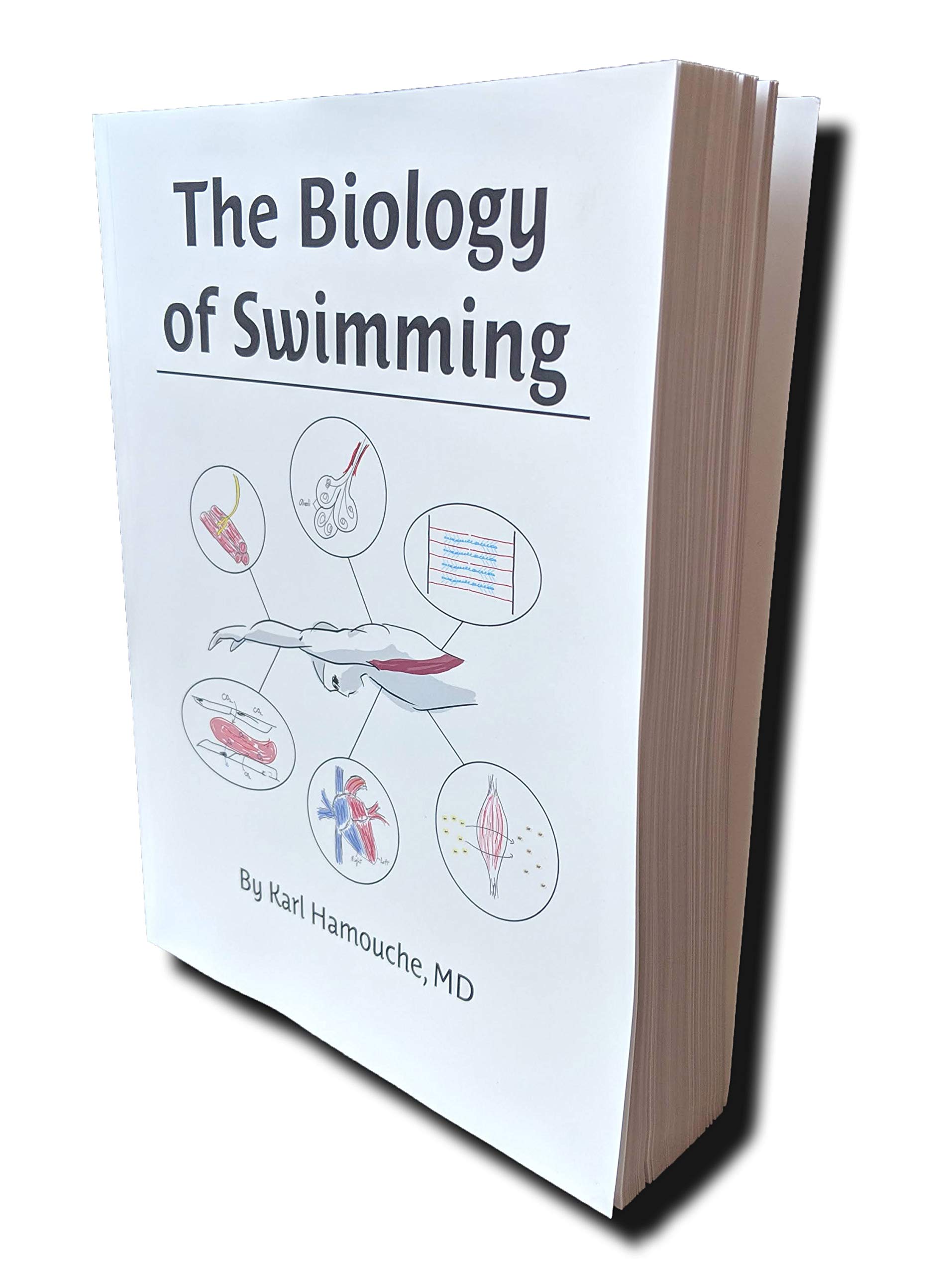 The Biology of Swimming: Everything you need to know about the Swimming ...