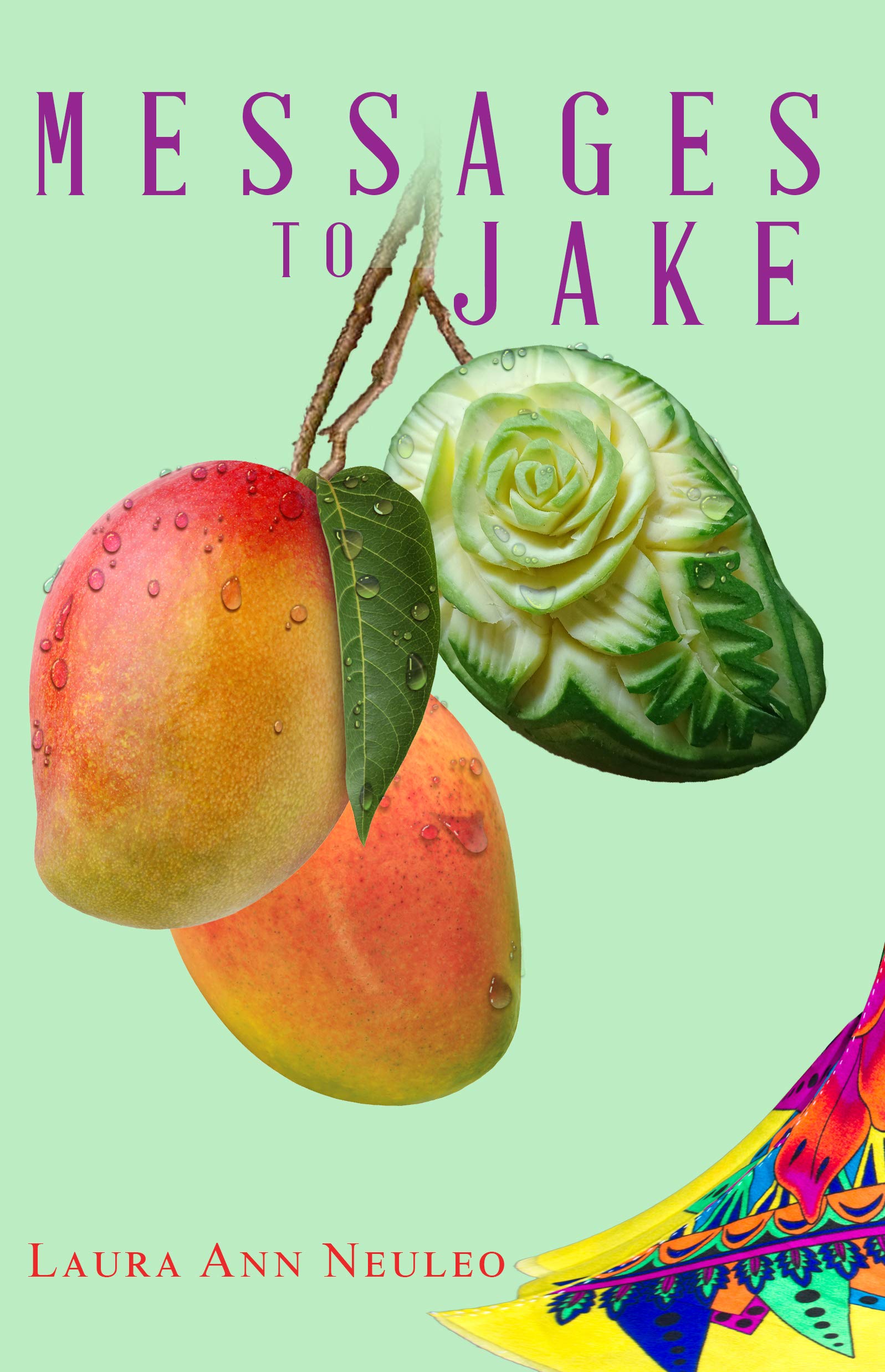 Messages to Jake by Laura Ann Neuleo | Goodreads