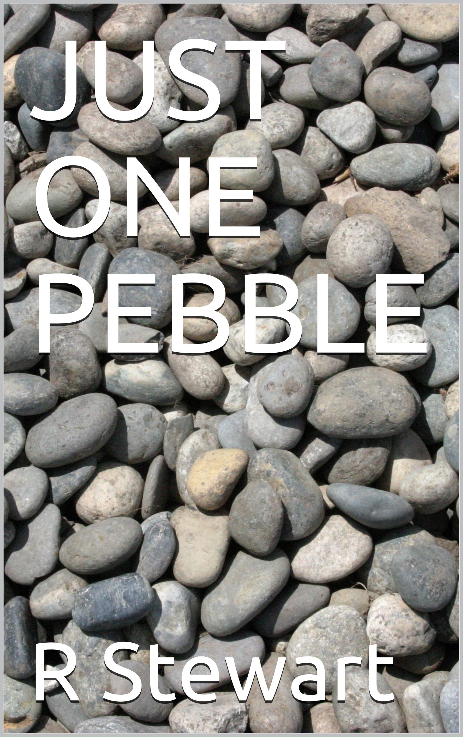 JUST ONE PEBBLE by R Stewart | Goodreads