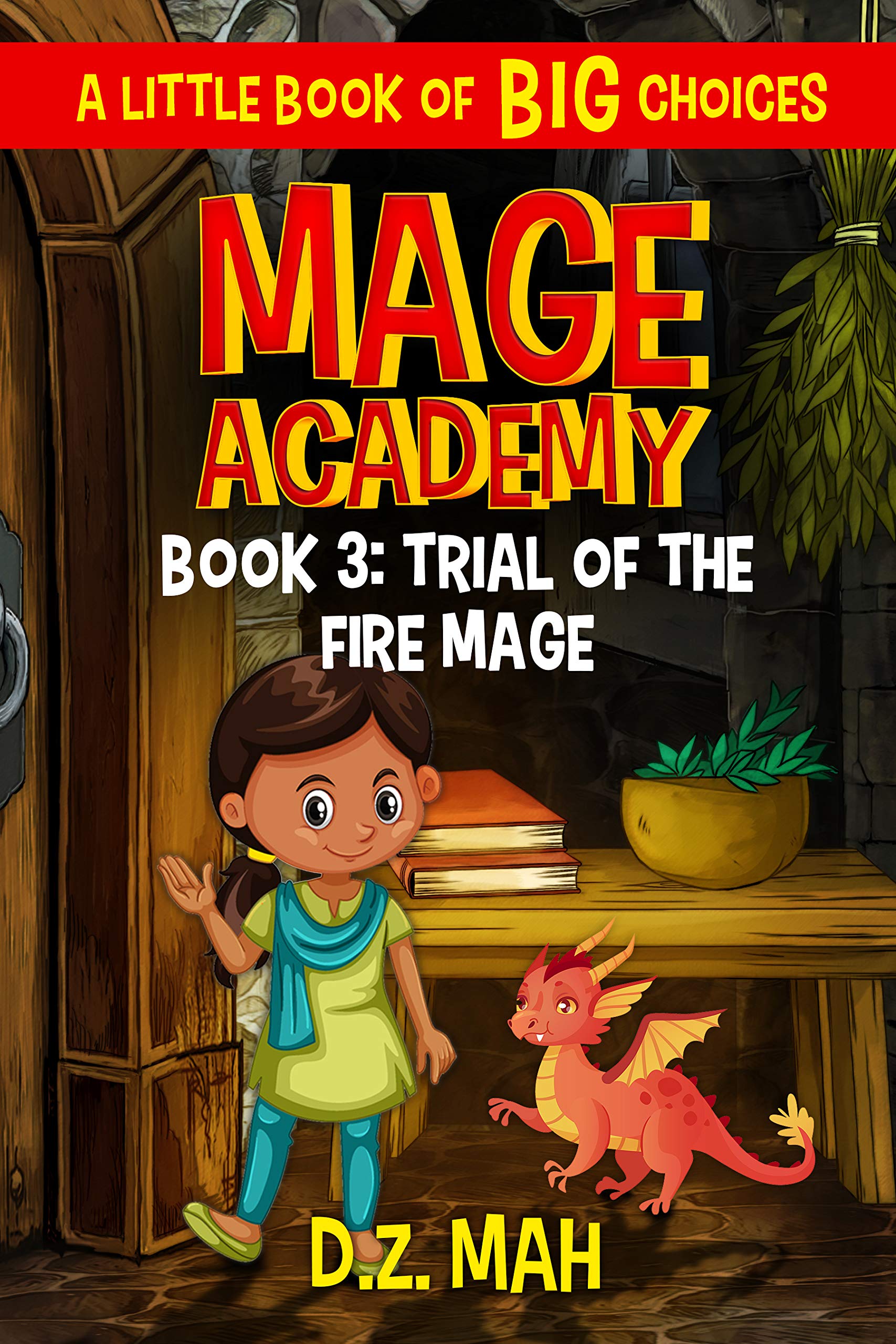 Mage Academy: Trial of the Fire Mage: A Little Book of BIG Choices by D ...