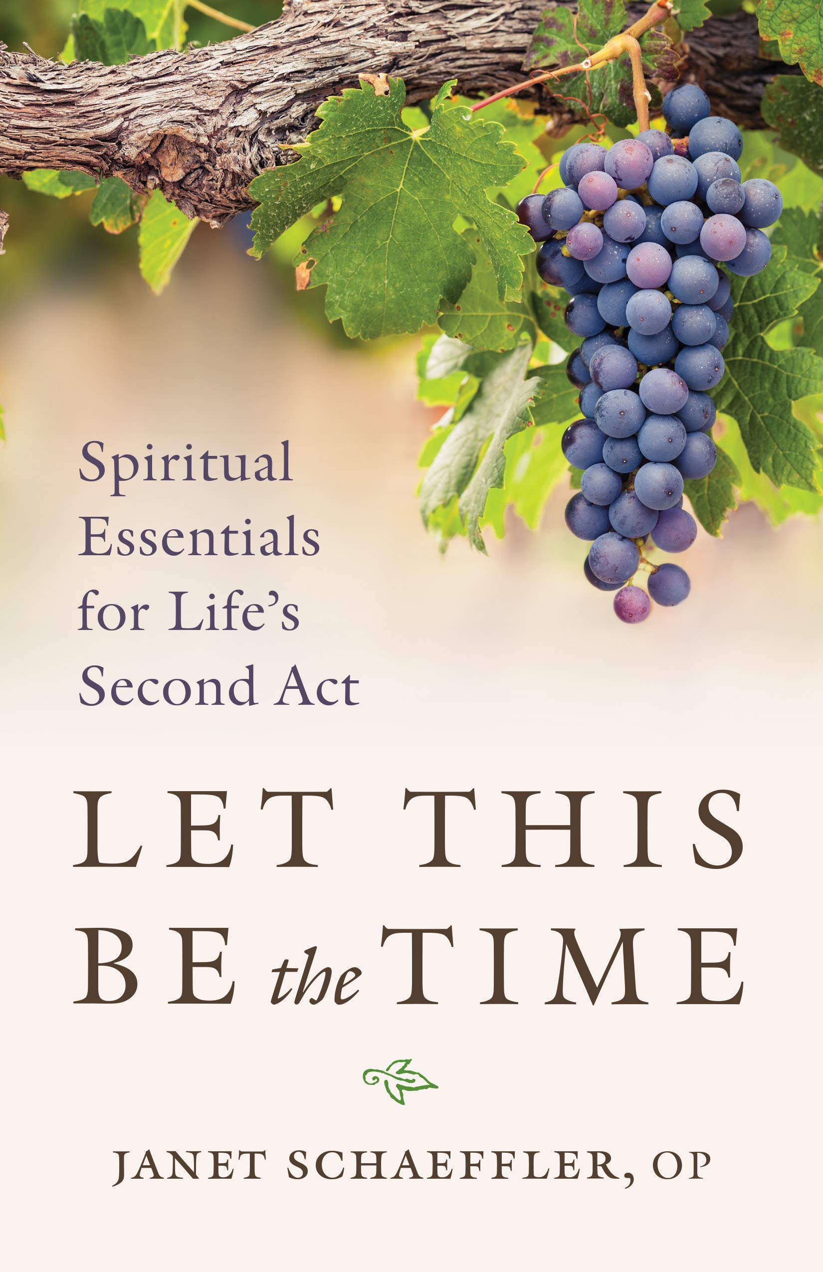 Let This Be the Time: Spiritual Essentials for Life's Second Act by ...