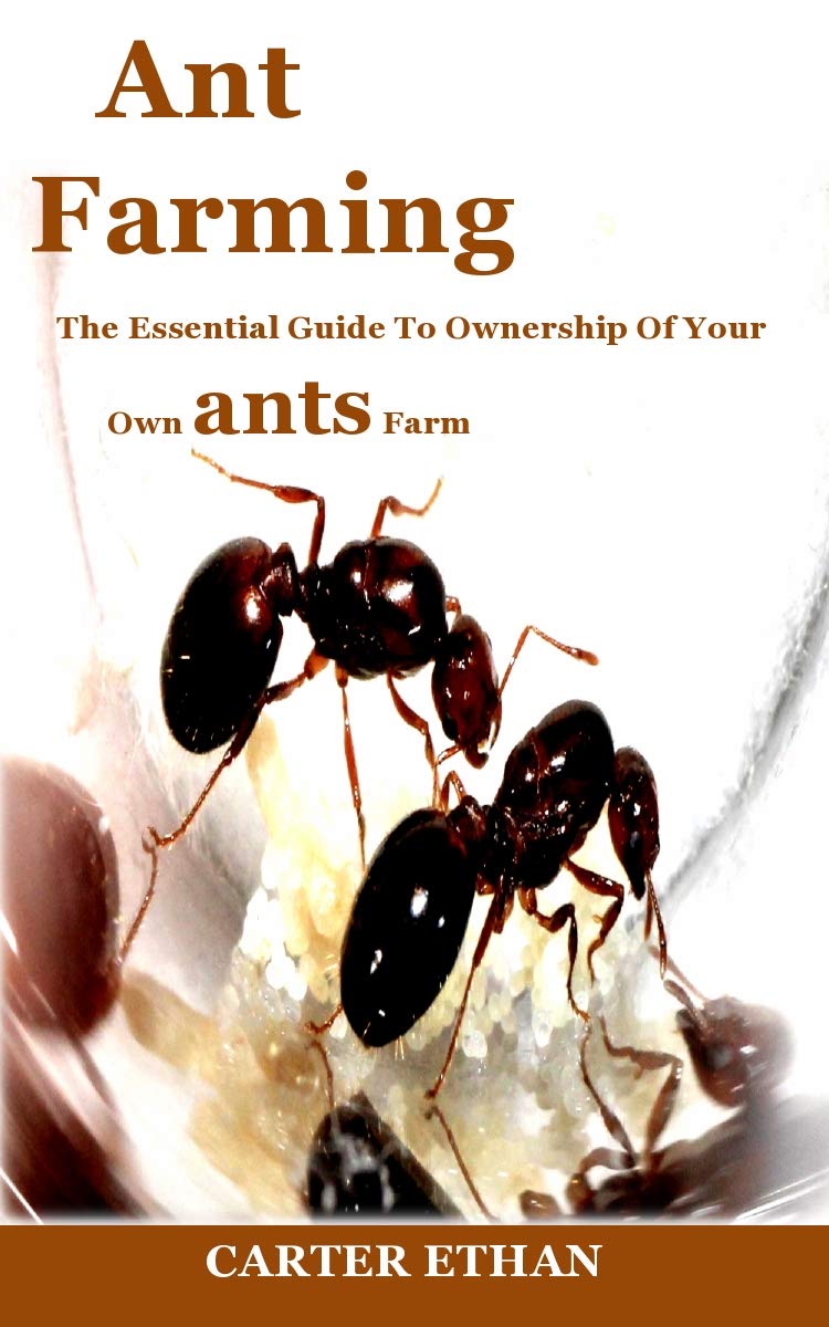 ANT FARMING: The essential guide to ownership of your own ants farm by ...