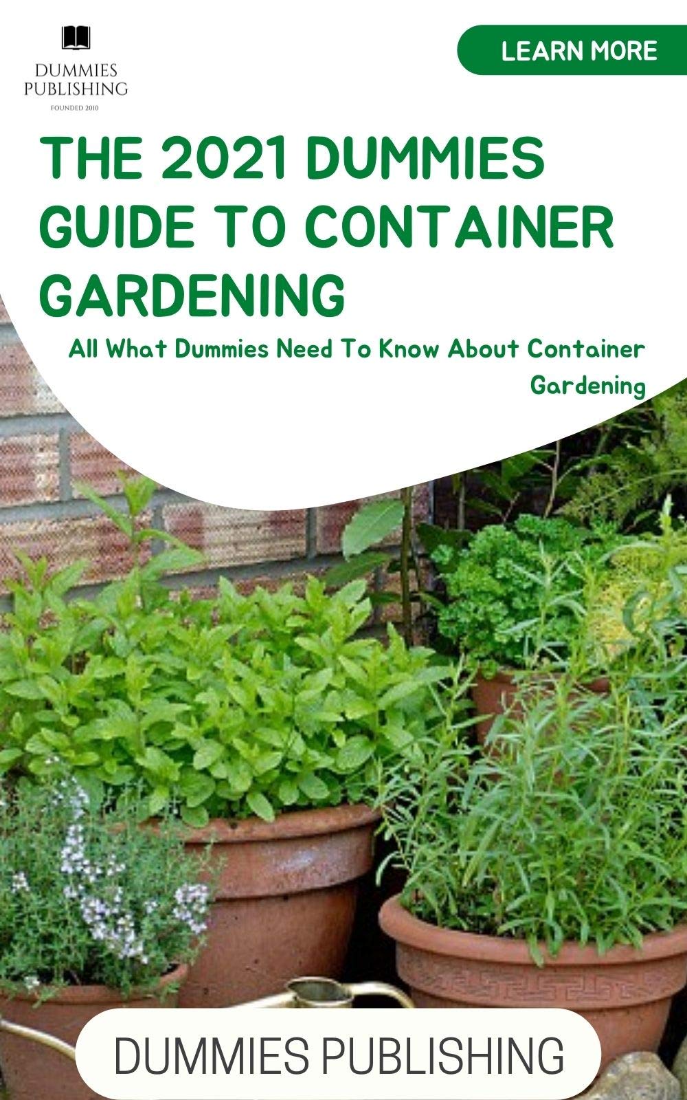 THE 2021 DUMMIES GUIDE TO CONTAINER GARDENING: All What Dummies Need To ...