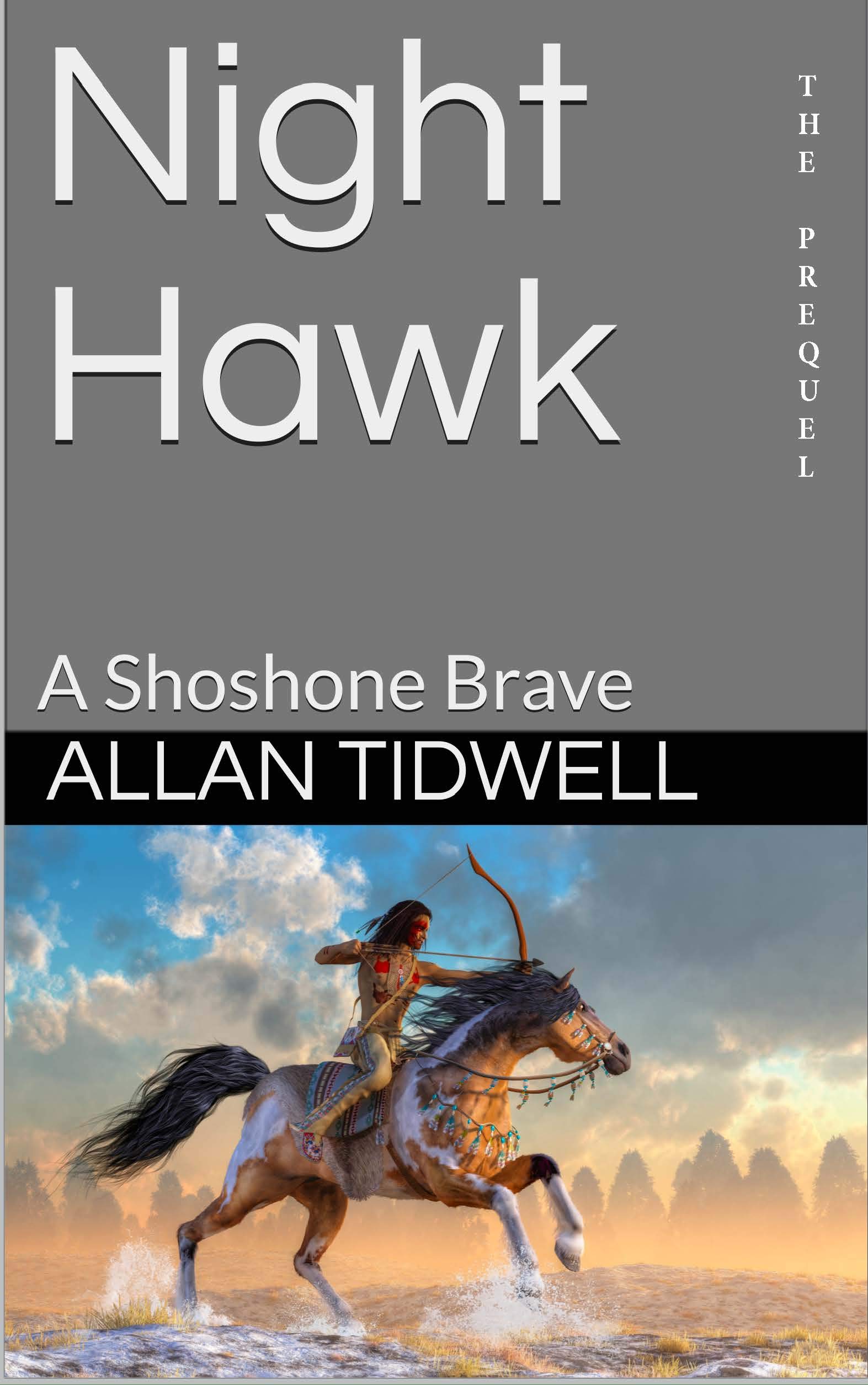 Night Hawk Book Two: A Shoshone Brave by Allan Tidwell | Goodreads