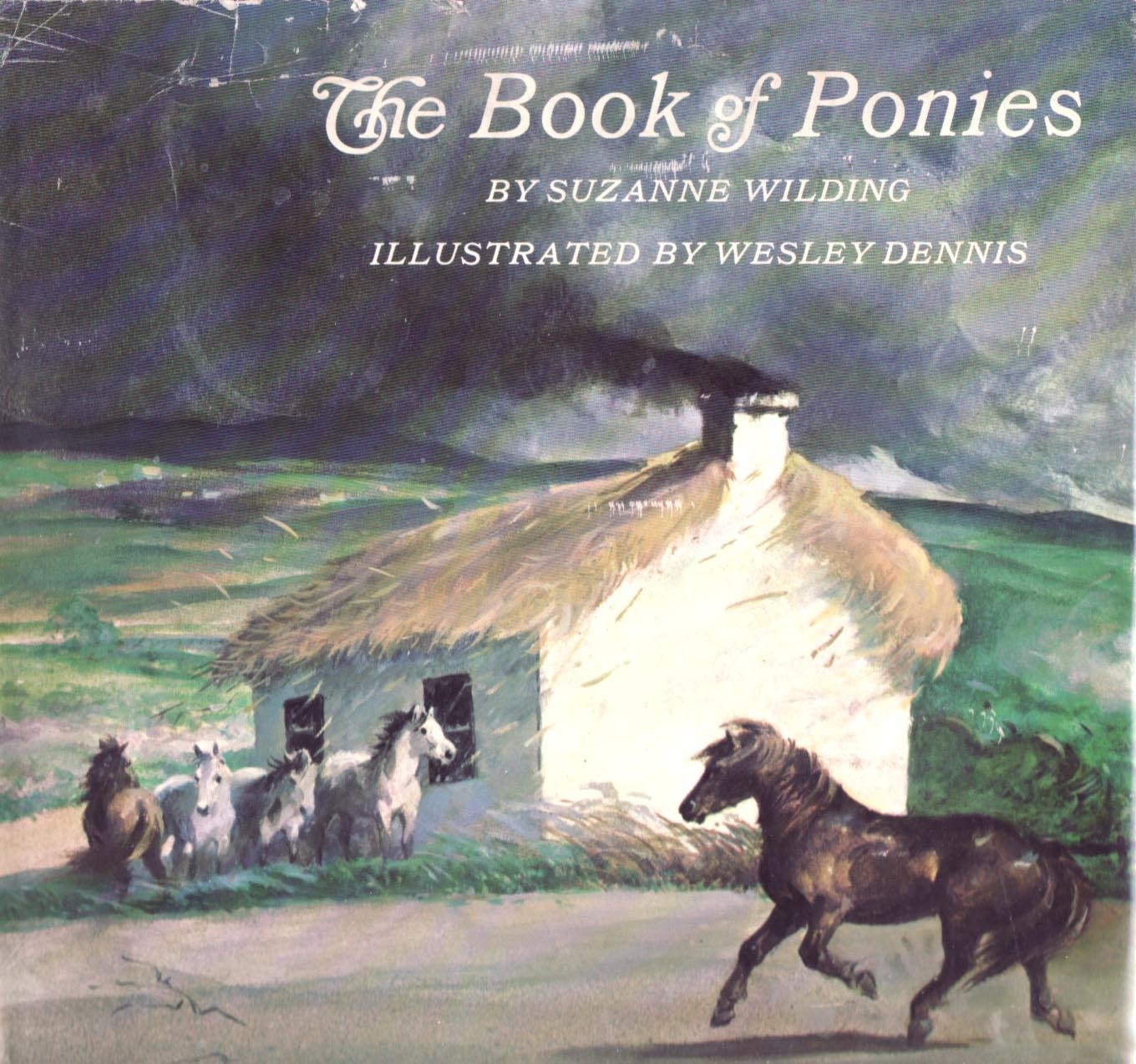 The book of ponies by Suzanne Wilding | Goodreads